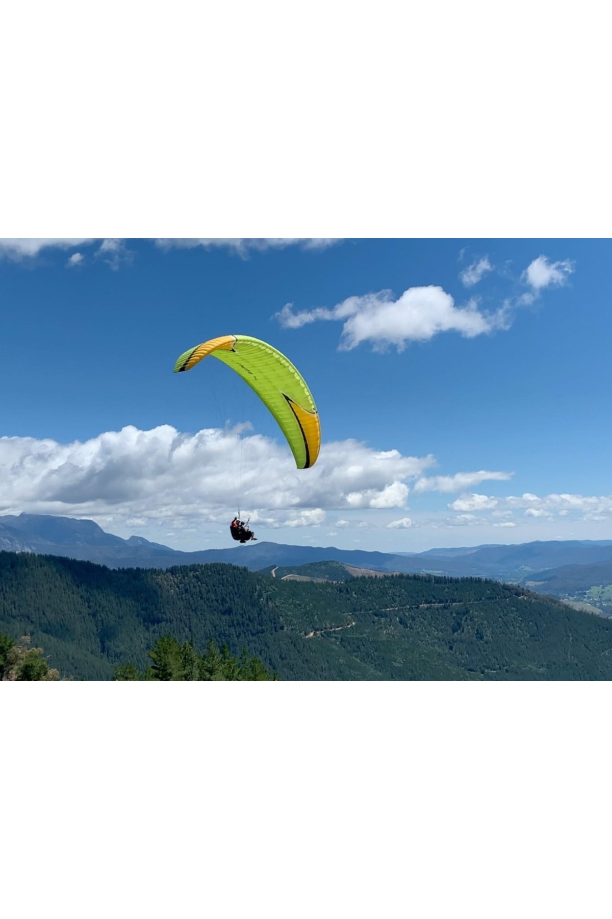 Independence Paragliders Independence Cruiser 4 Yamaç Paraşütü Size 29 ...
