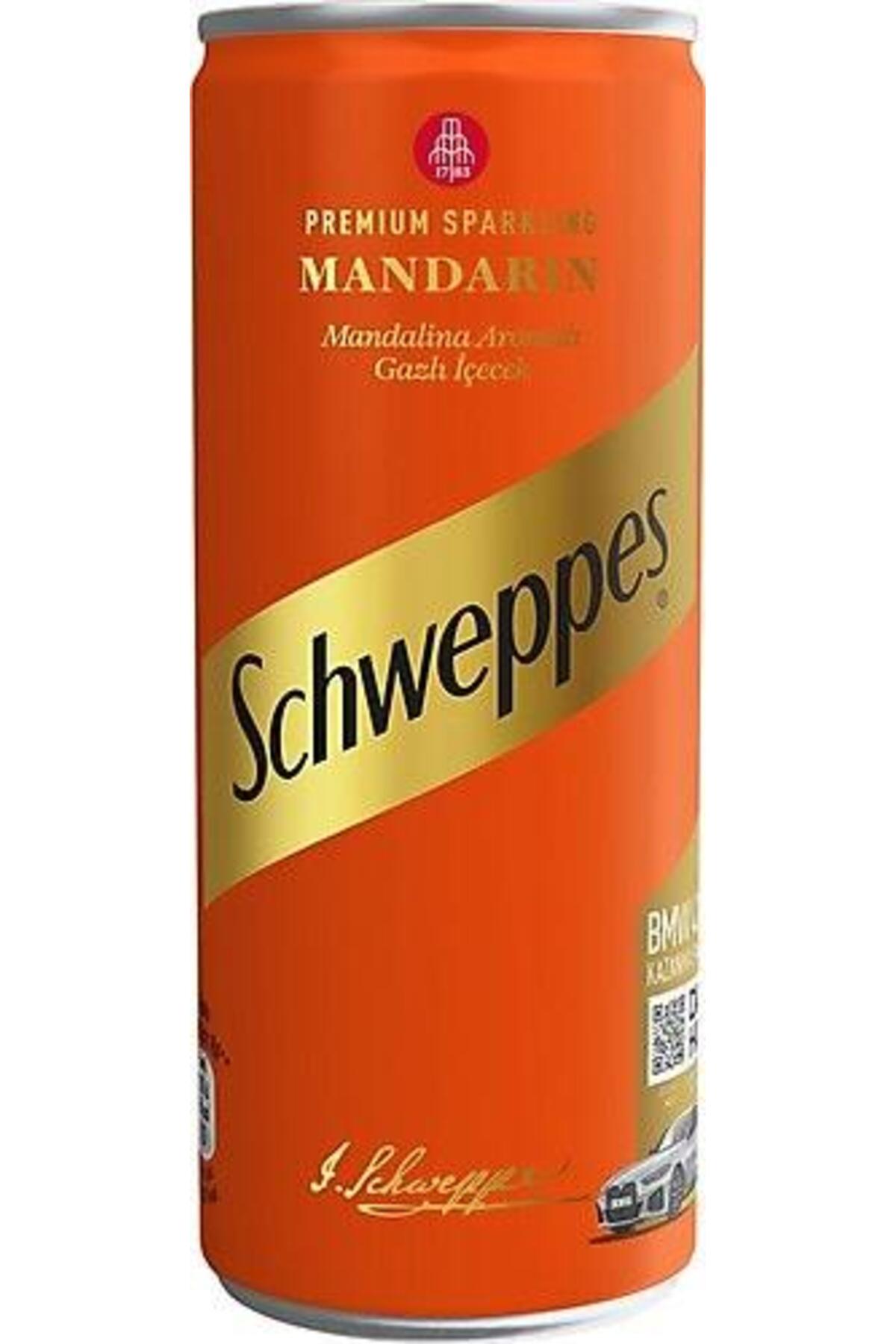 Schweppes Mandalina Kutu 250 ml 12'Li - Fiyatı, Yorumları