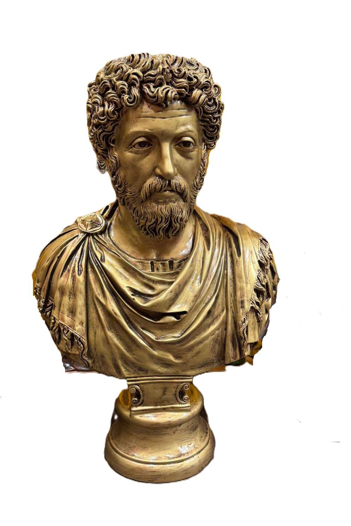 ZEUS Marcus - Fiyatı, Yorumları