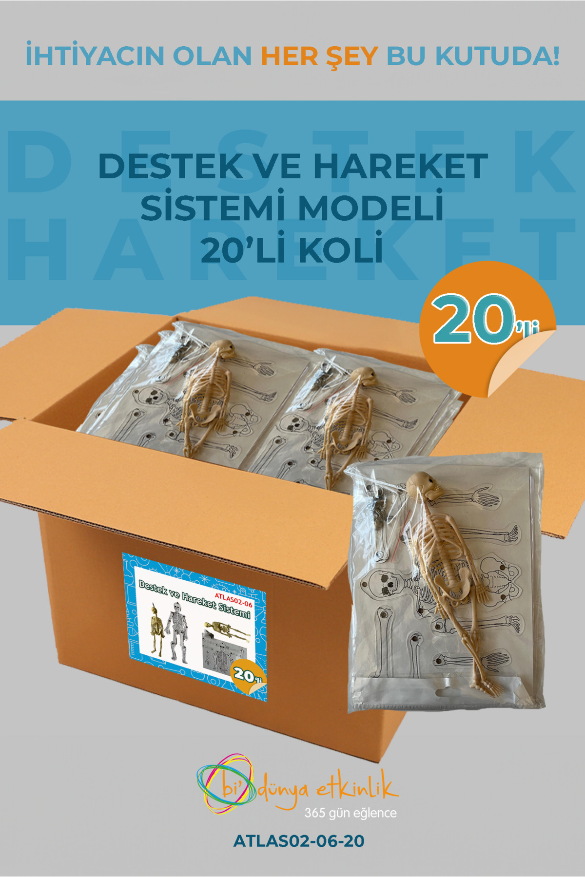 bi dünya etkinlik Destek ve Hareket Sistemi Modeli Deney Seti 20'li ...