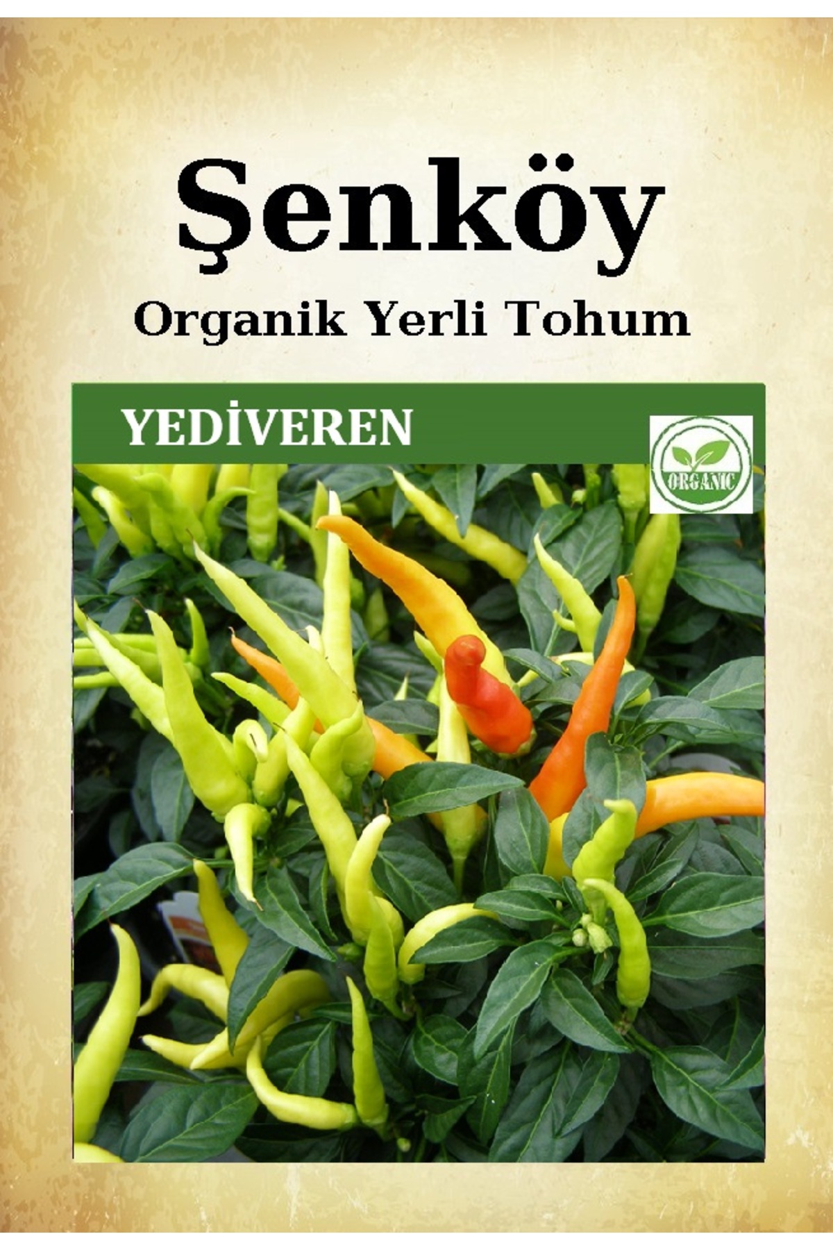 Şenköy Yerli Yediveren Süs Cin Biberi Tohumu Doğal Ata Tohum Pakette 5 ...