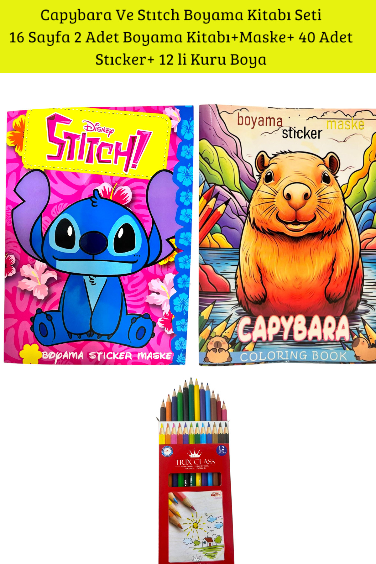 YILDIRIM OYUNCAK Stıtch Capybara Figür Boyama Kitabı+12 li Boyama ...