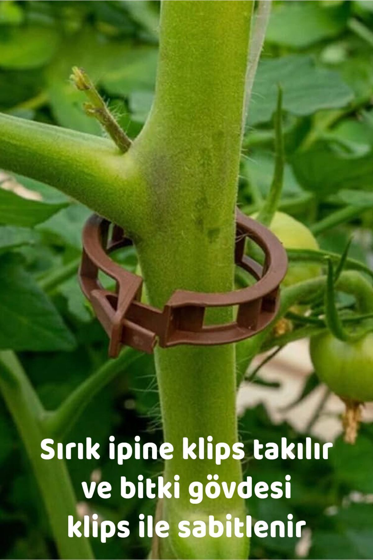 Dogarden Bitki Bağlama Klipsi 500 Adet - Domates Klipsi 25 Mm. - Fiyatı ...