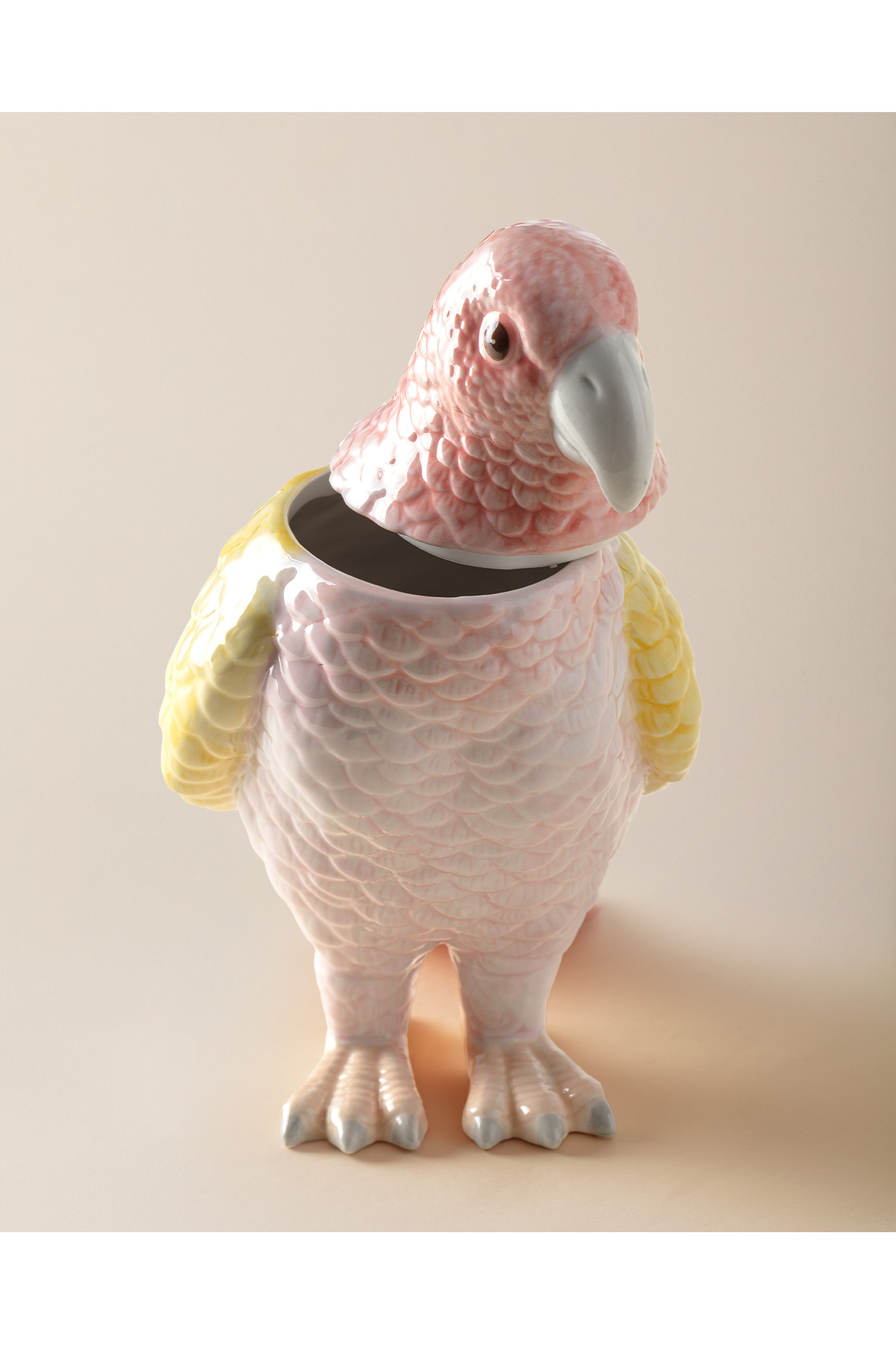 Madame Coco Lucy Biblo - Renkli - Fiyatı, Yorumları