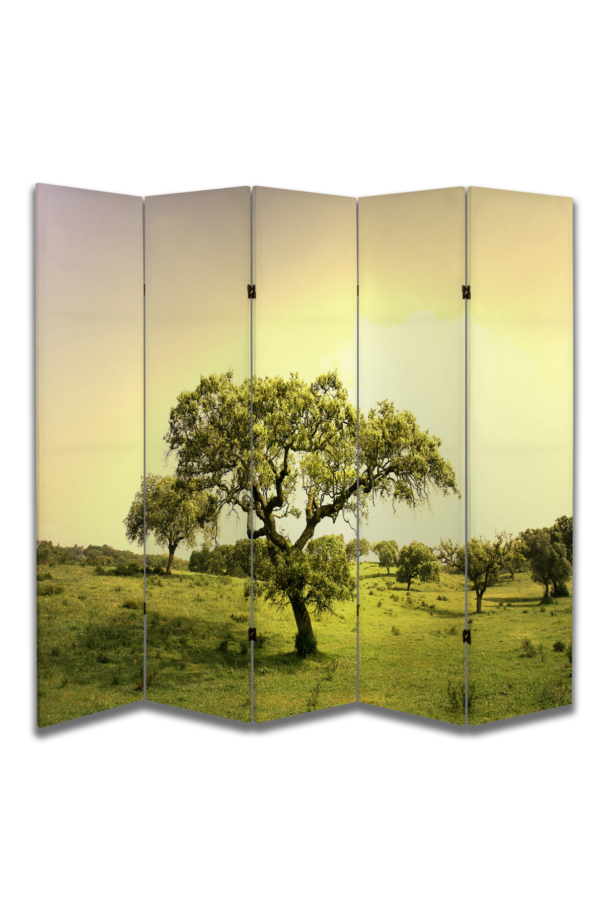 dbsanat Manzara Temalı Özel Tasarım Paravan Room Divider 180 x 200 cm ...