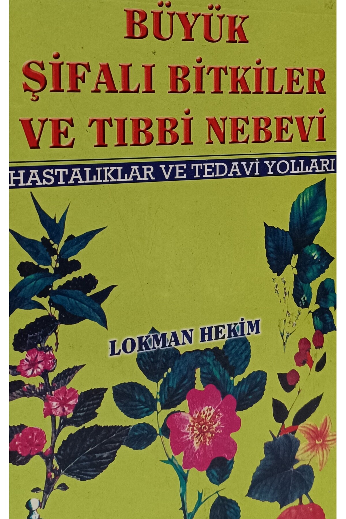 Kişisel Yayınlar Büyük Şifalı Bitkiler ve Tıbbi Nebevi Hastalıklar ve ...