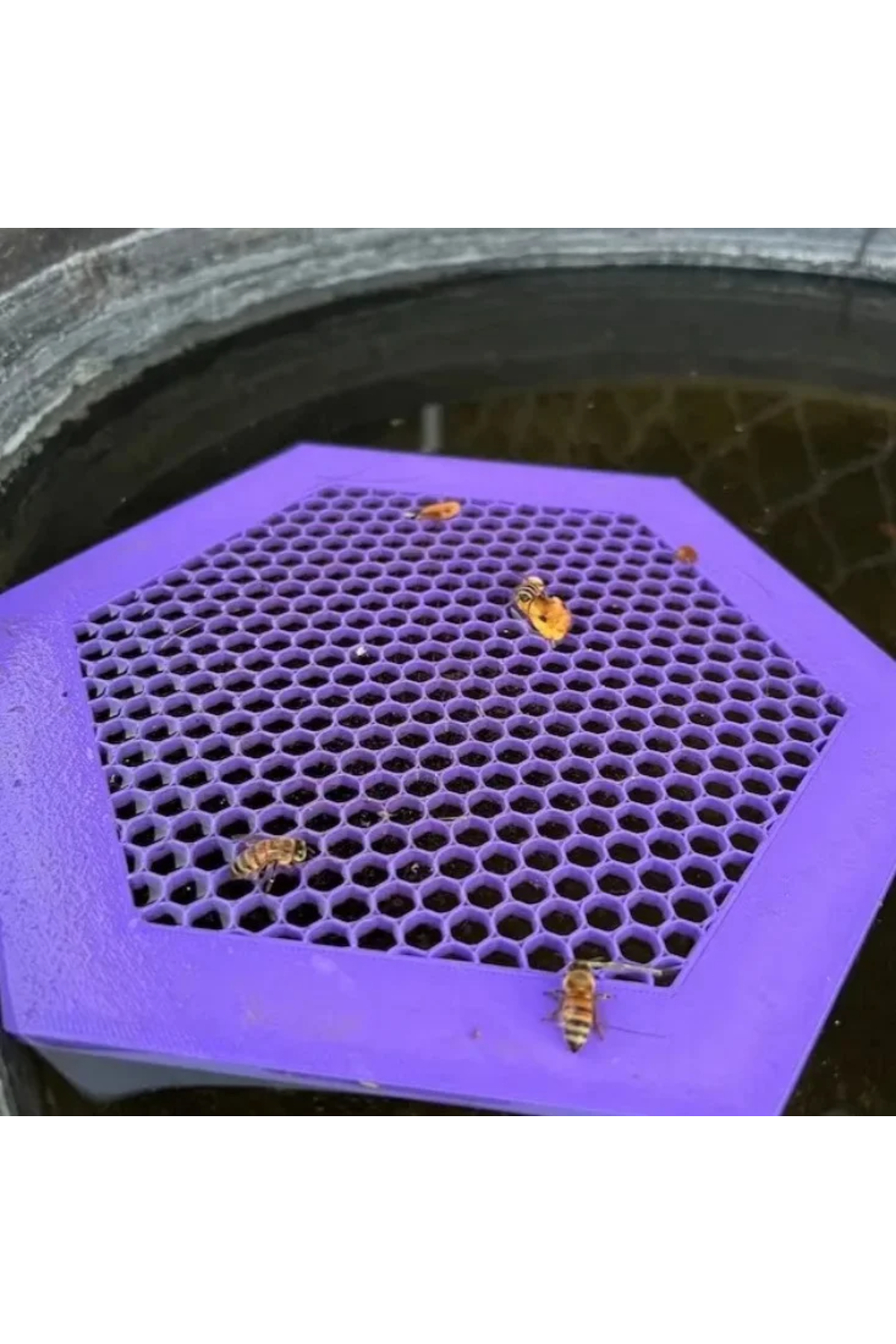 Choice PURPLE Floating Bee Island-Bee Waterer Hexagonal Bee Insect ...
