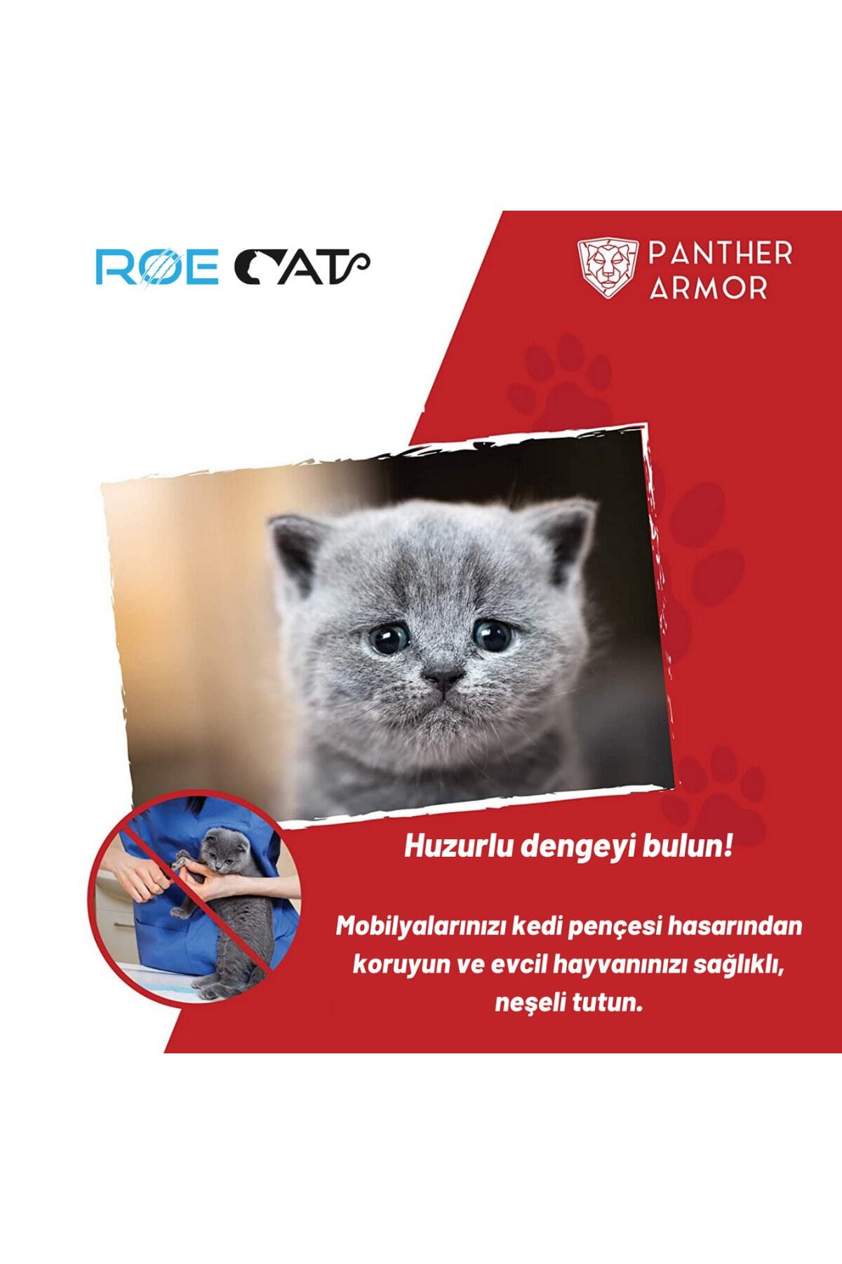 Roe Cat Panther Armor, Premium Kedi Eğitim Bandı, Tırmalama Önleyici ...