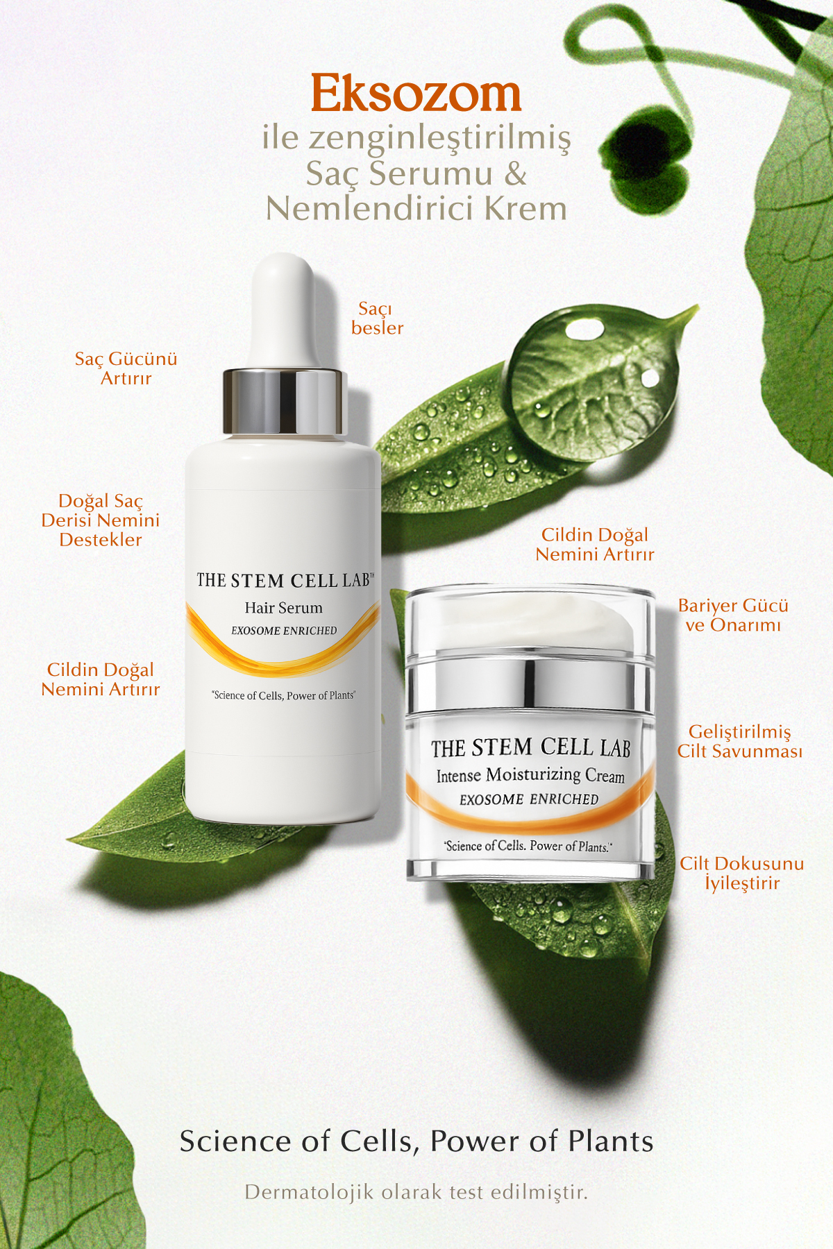 The Stem Cell Lab 101 Hair Serum - Saç Serumu 50ml & Intense ...