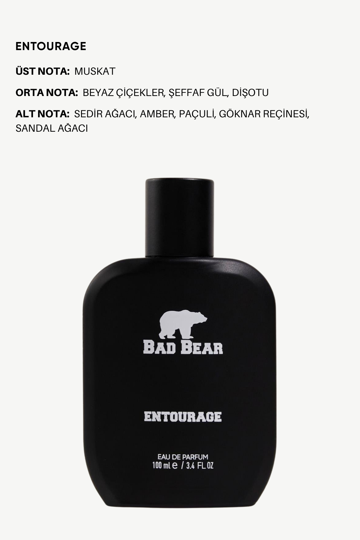 Bad Bear Entourage 100 Ml. Erkek Parfüm - Fiyatı, Yorumları
