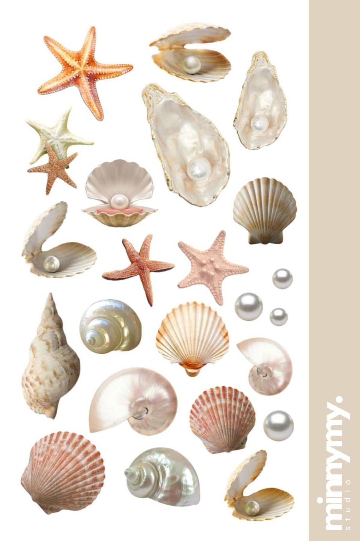 Minnymy Seashell Collection Retro Sticker, Çıkartma, Ajanda, Günlük ...