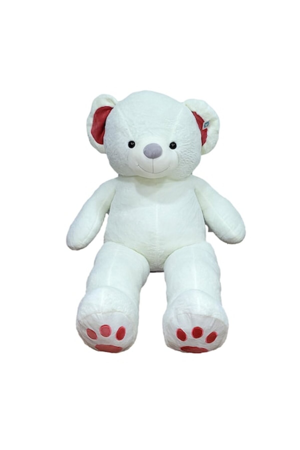 Kiwi Giant Teddy Bear, 160 cm, 7 kg, white- Trendyol
