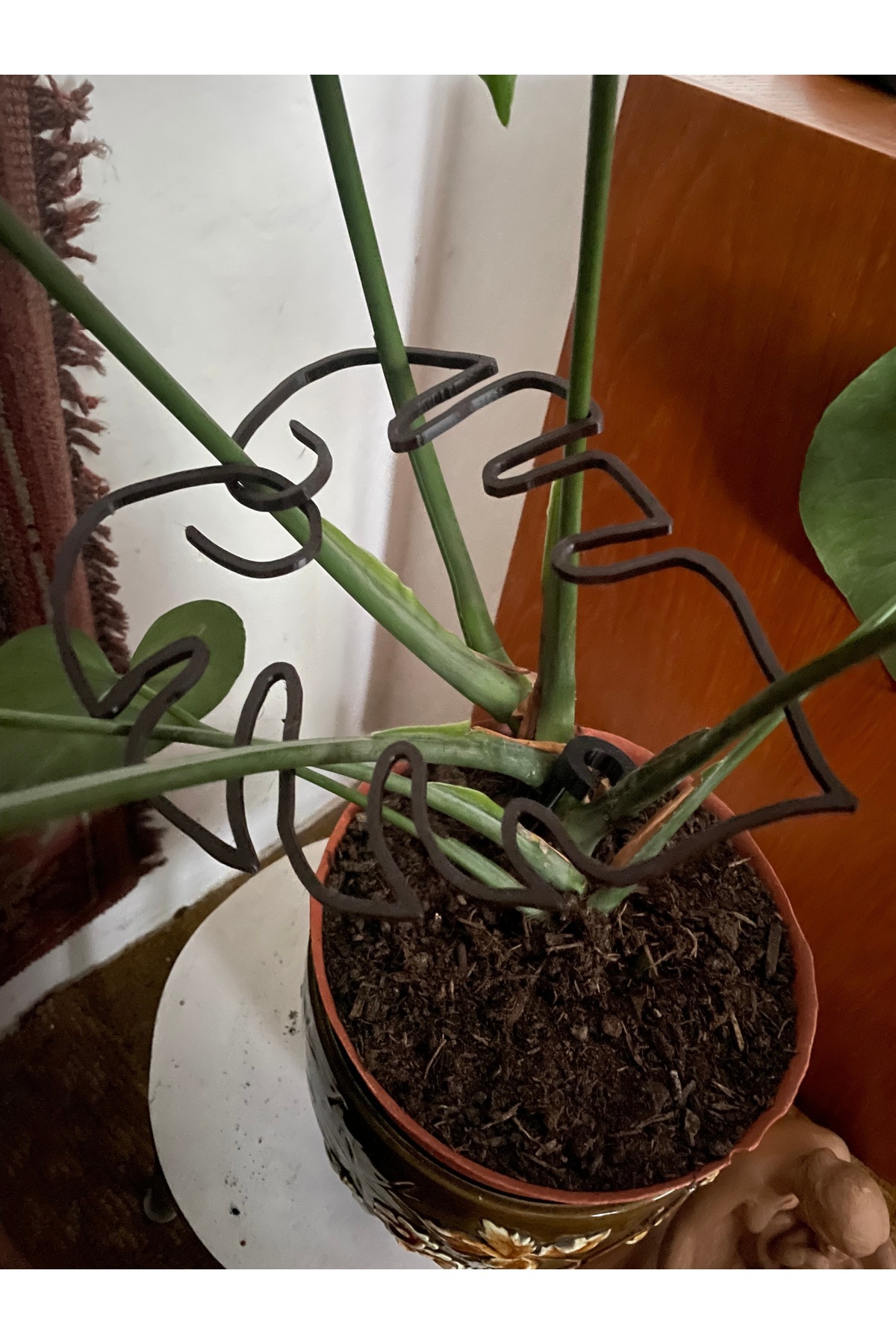 Modelerman Design Monstera bitki desteği - Fiyatı, Yorumları