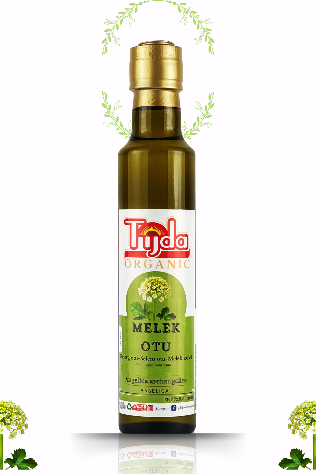 TİJDA Melek Otu 250 ml Helerg otu Angelica archangelica - Fiyatı, Yorumları