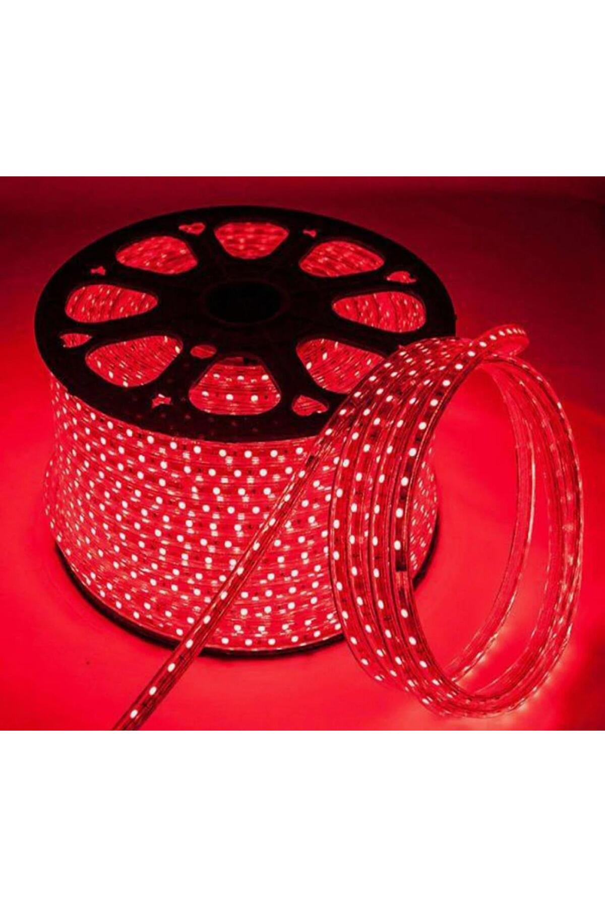 GEM LİGHT Şerit Led 220V İle Çalışan Dış Mekan Uyumlu Led Tak Çalıştır ...