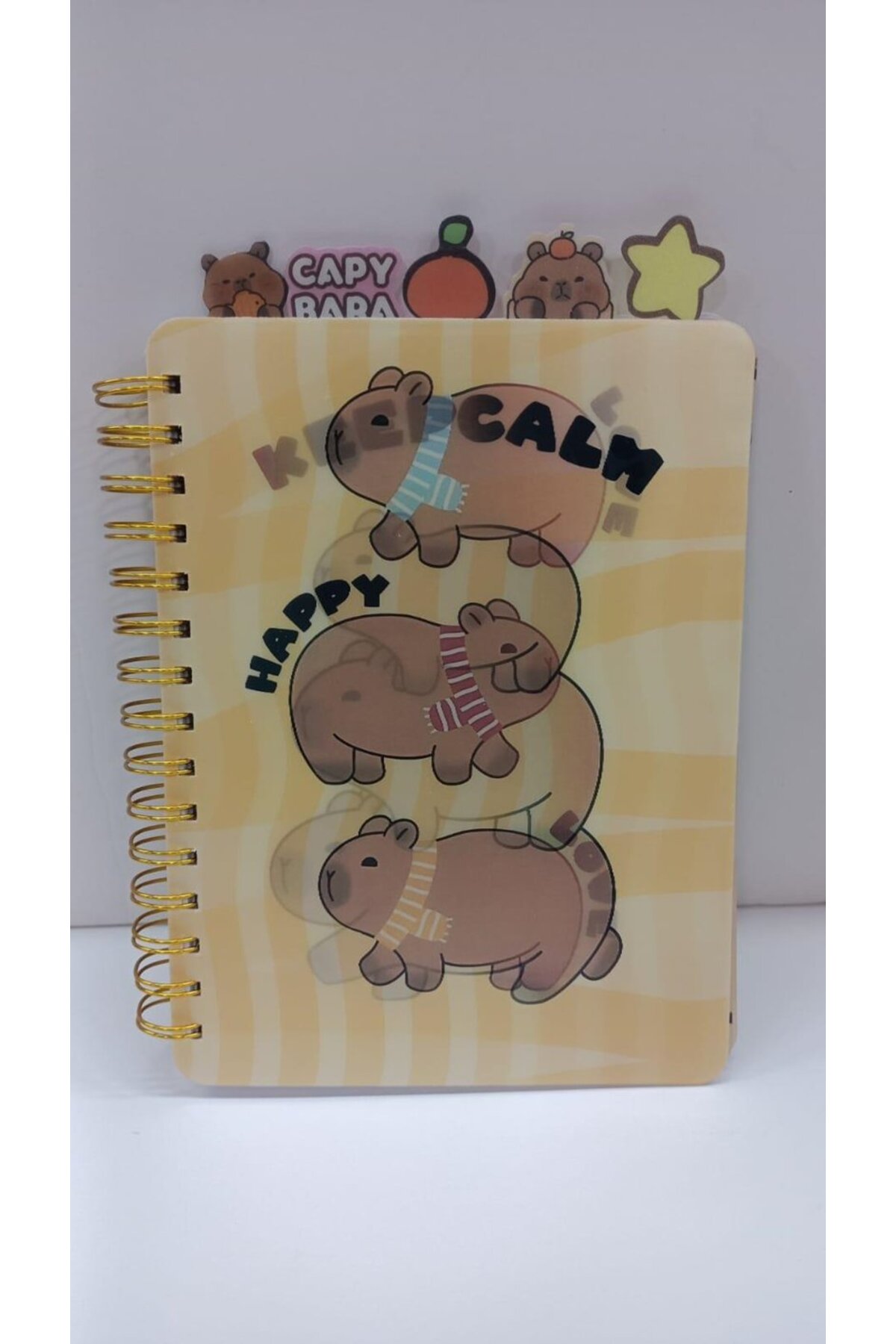 Taros Unick Color Hologramlı Seperatörlü Capybara Defter - Fiyatı ...