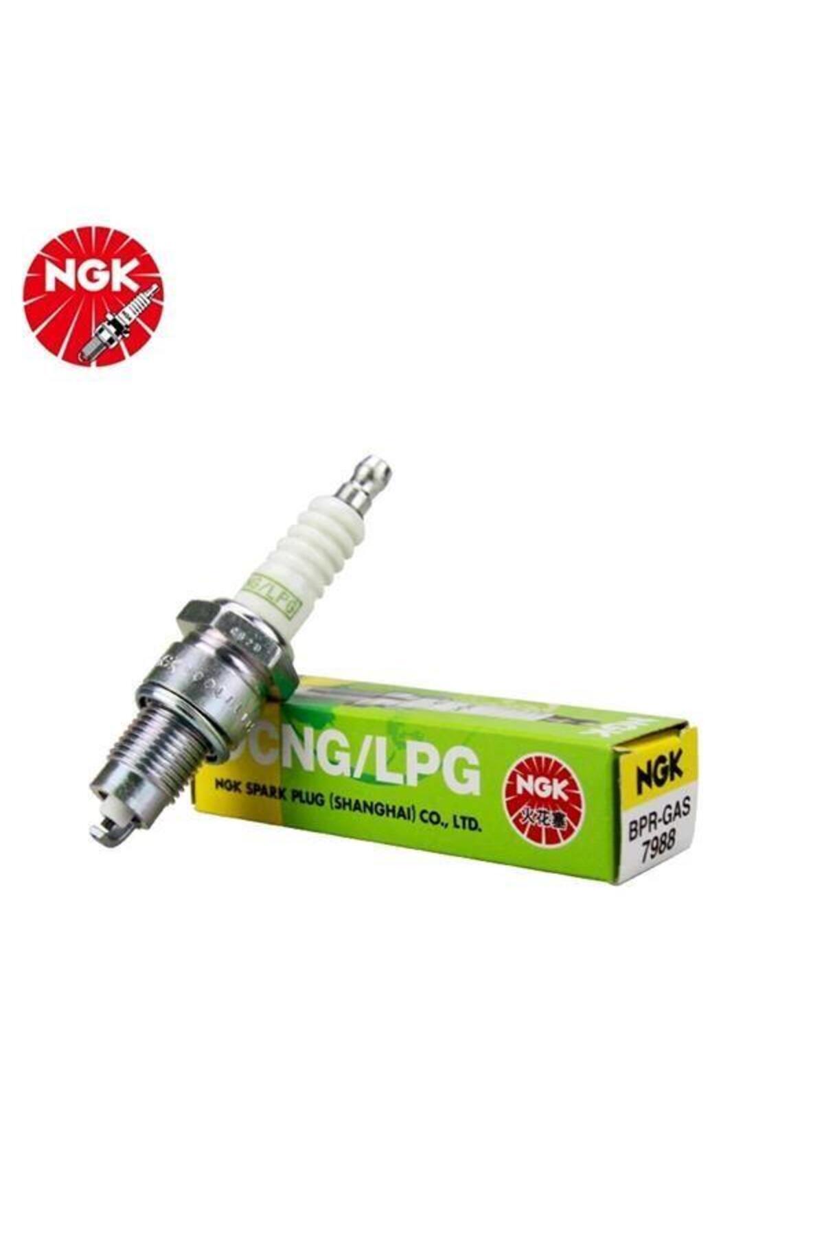 Ngk 7988 Buji W7dc R9 R11 M131 Dks Fiyatı, Yorumları - Trendyol