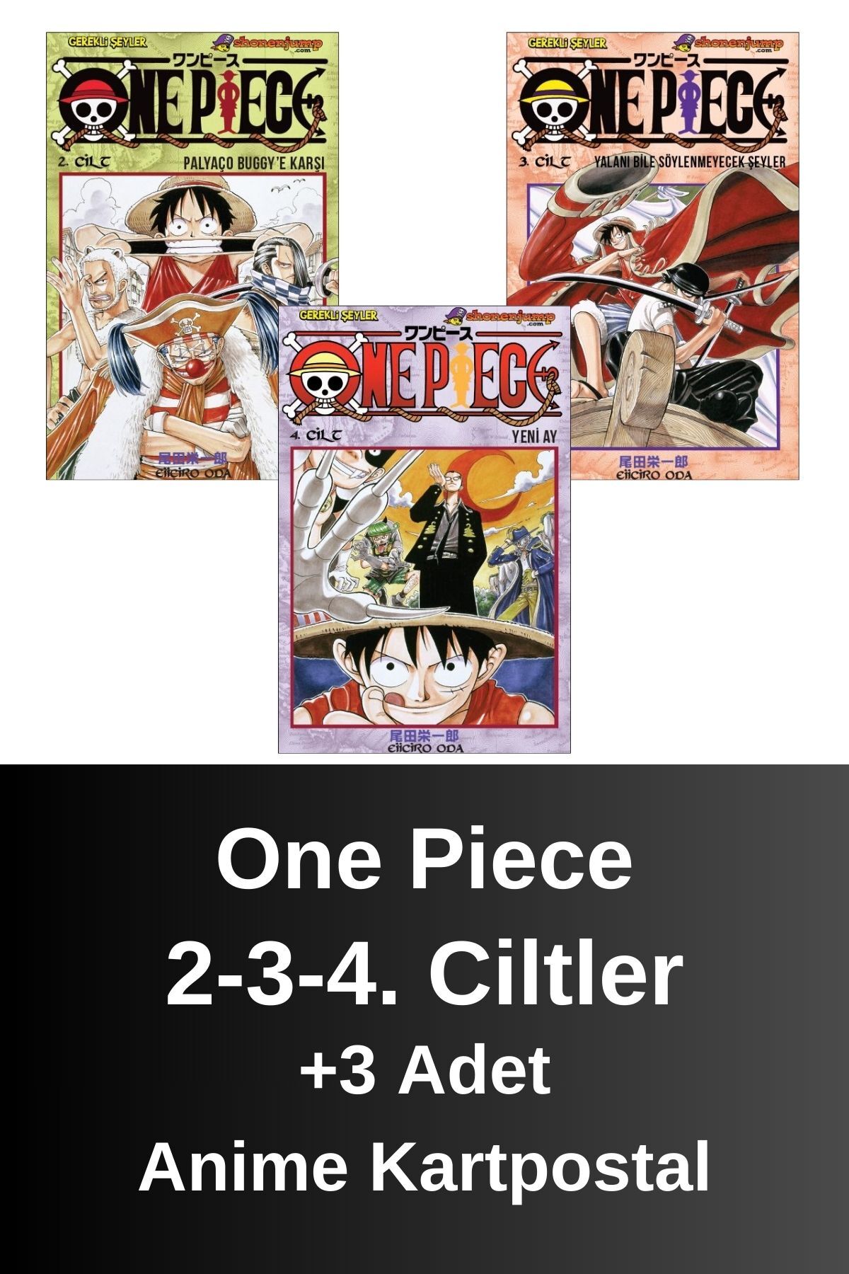 Gerekli Şeyler Yayıncılık One Piece 2-3-4. Ciltler (3 kitap) | Anime ...