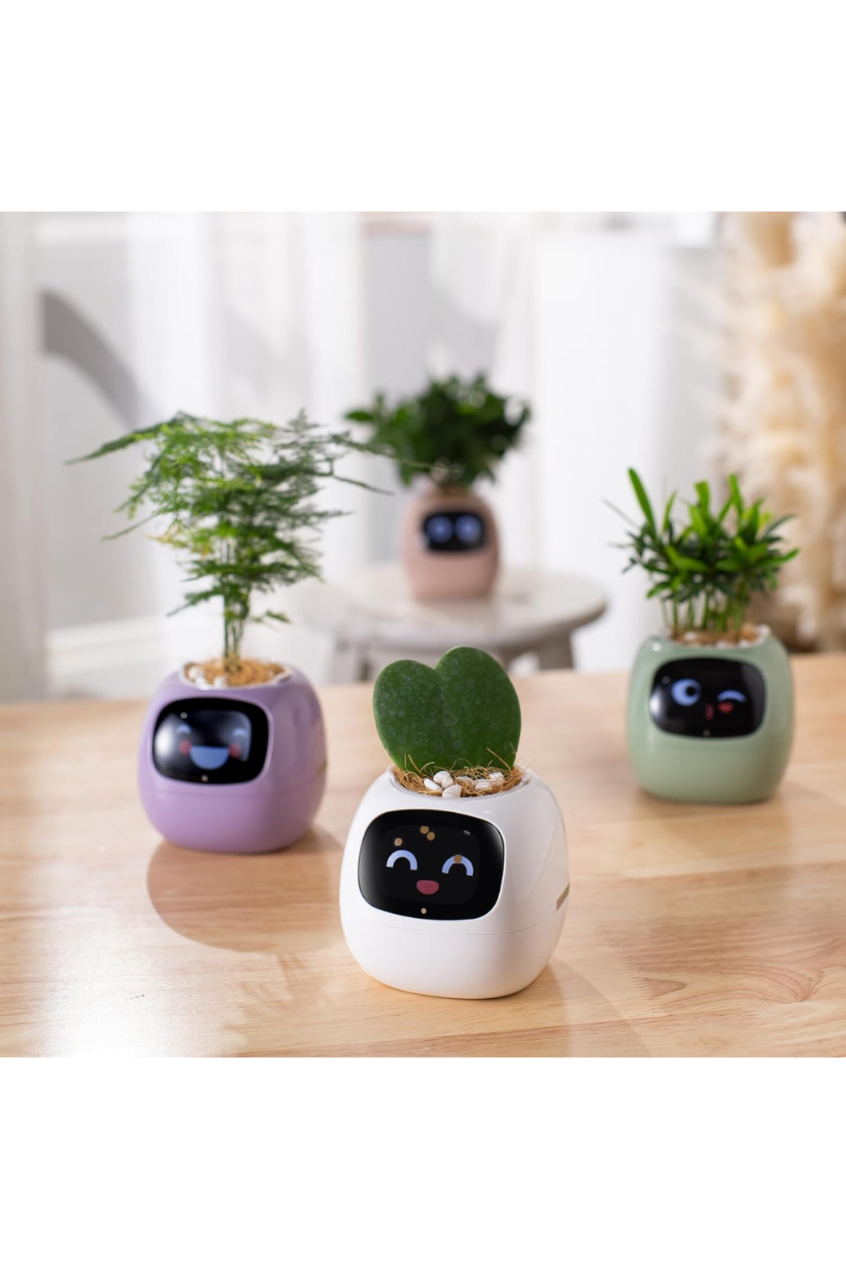 ILA PRODUCT Ghiveci smart pentru plante, animatii si senzori tactili ...