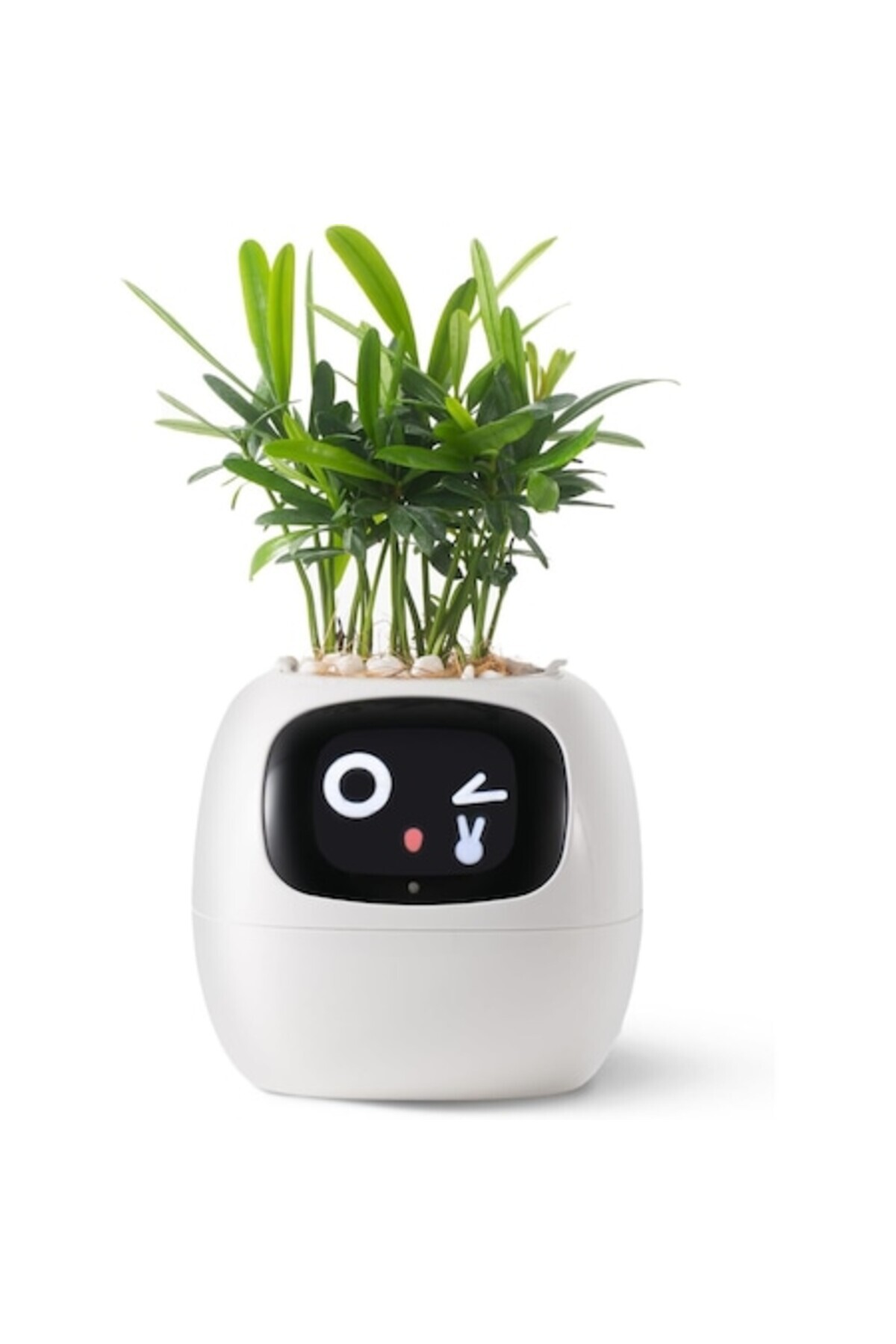 ILA PRODUCT Ghiveci smart pentru plante, animatii si senzori tactili ...