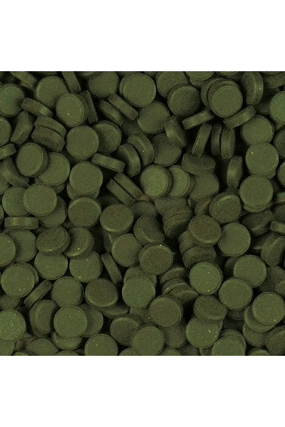 Tropical Super Spirulina Forte Tablets - 50 Adet - Tablet balık yemi ...