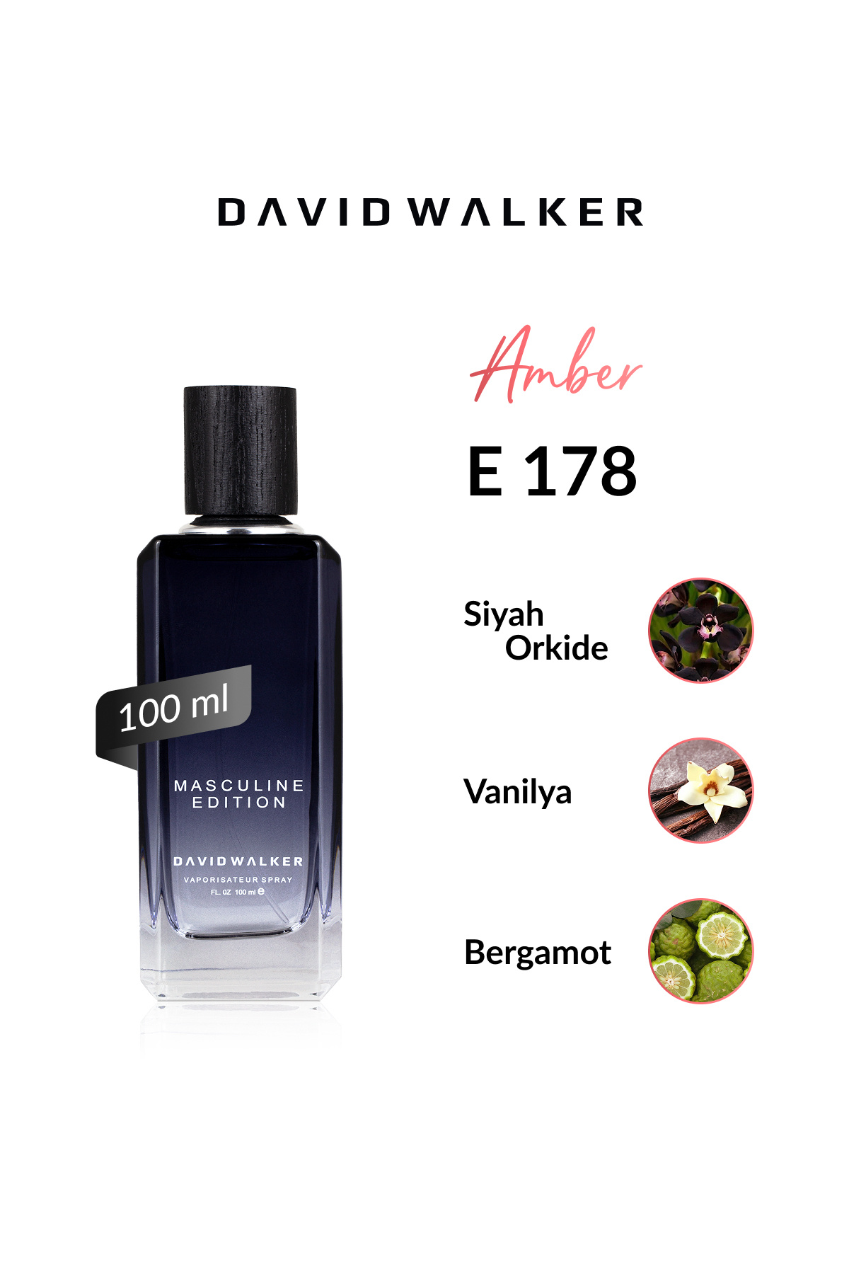 David Walker E178 Orient 100 ml Erkek Parfüm | Amber - Fiyatı, Yorumları