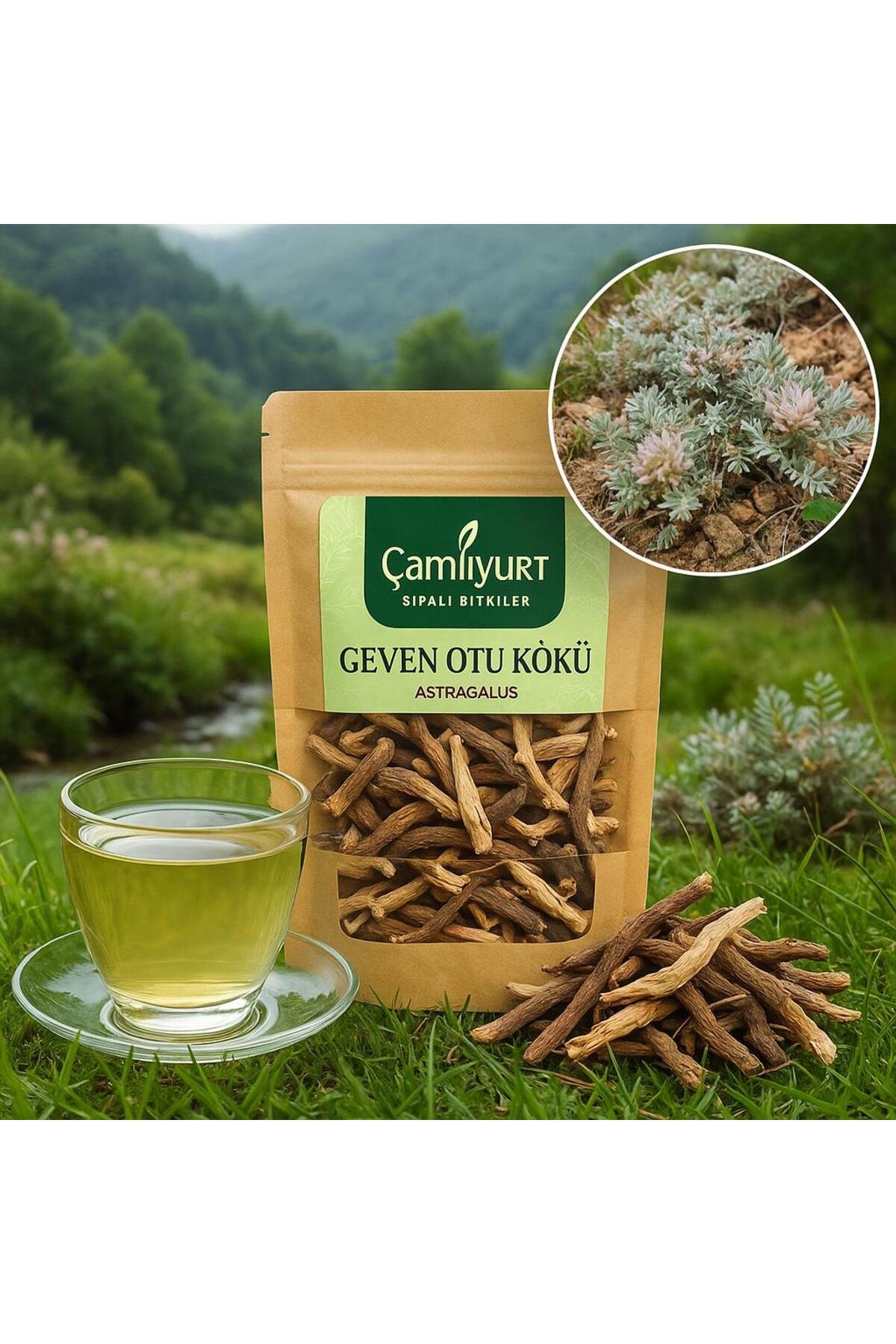 köydekiadam Geven Otu Kökü 100 Gr - Fiyatı, Yorumları