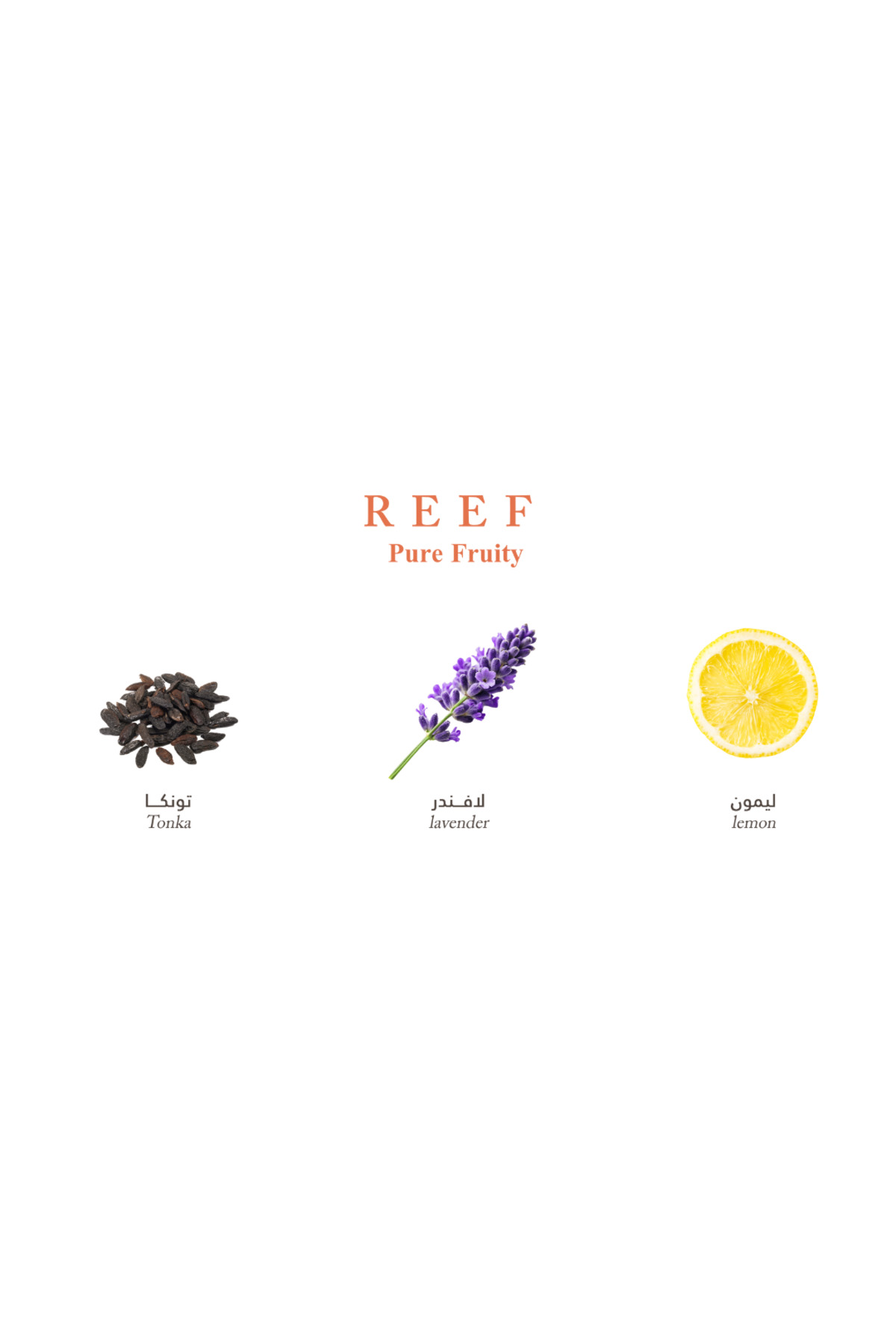 Reef Perfume Pure Fruity | 150 ML Parfum Concentration - Long Lasting ...
