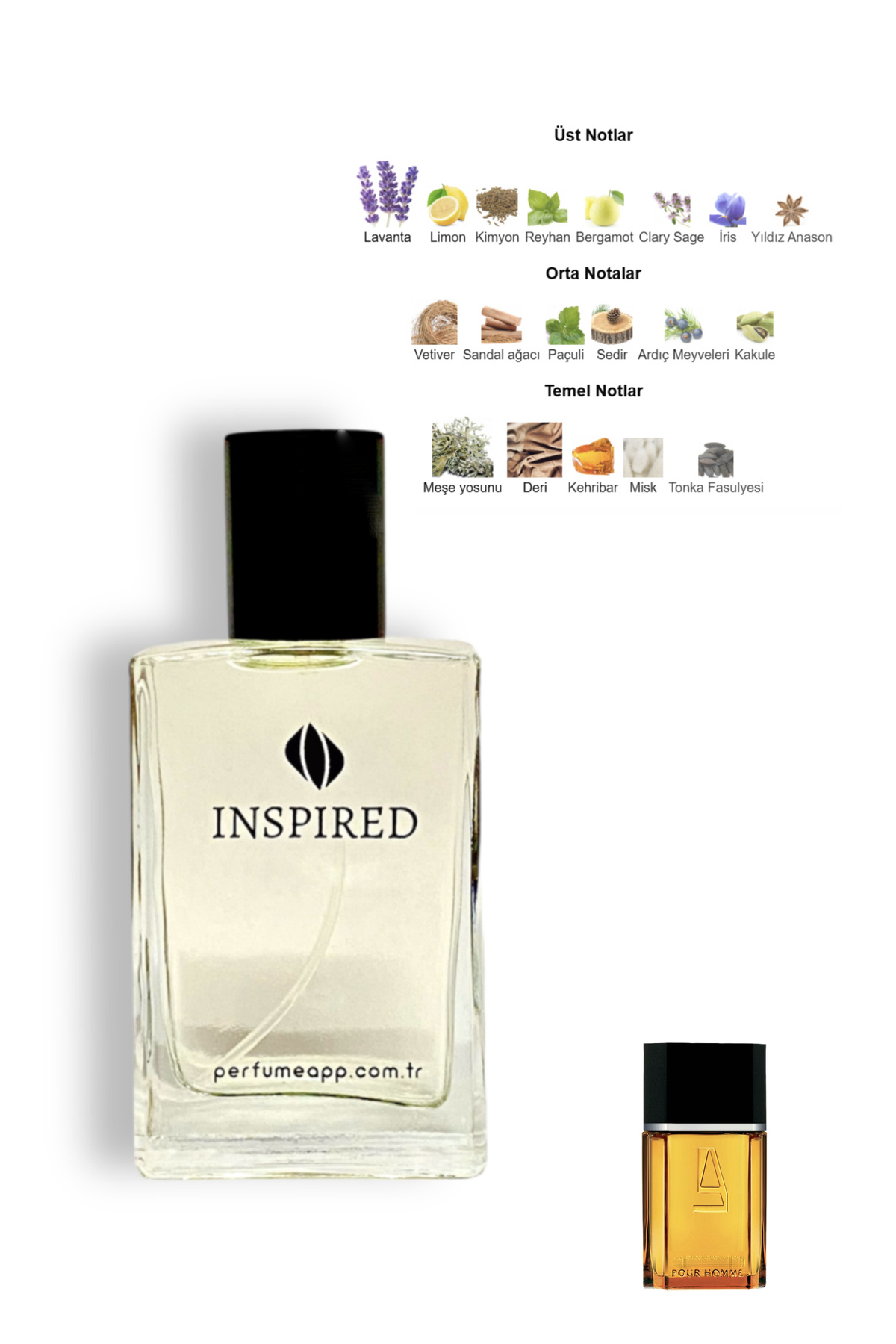 İNSPİRED Azaro pour Homme Erkek Parfüm 50 Ml Edp - Fiyatı, Yorumları