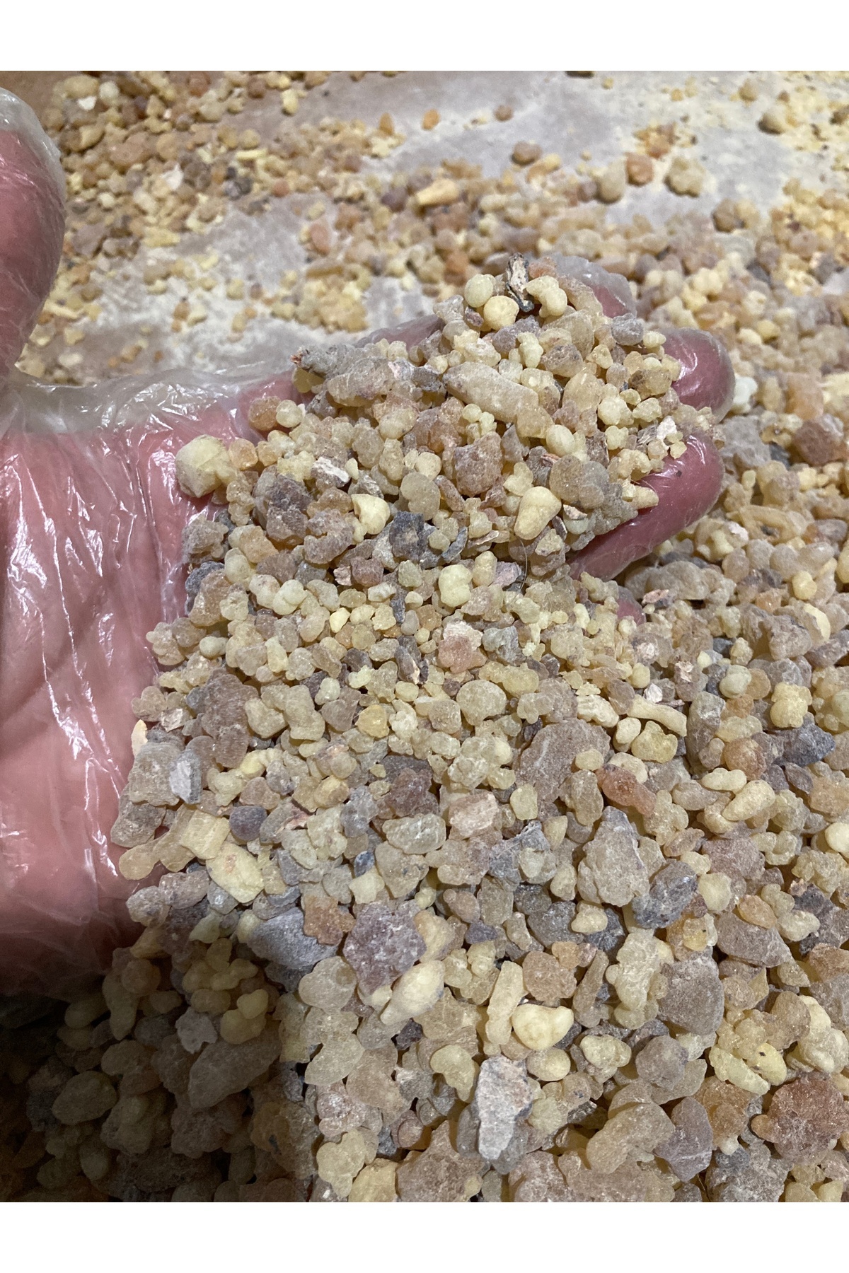 shop 50 gr Buhur Al Luban Akgünlük Bosweilla Serrata Buhur 1. Kalite ...