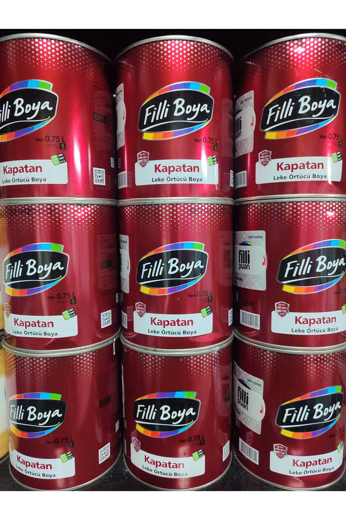 Filli Boya Kapatan Leke küf is Örtücü Sentetik Boya 0,75L - Fiyatı ...