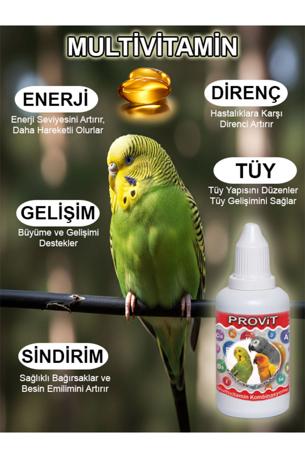 Force Provit Multi Vitamin Komplex Muhabbet kuşu Papağan Kanarya için ...