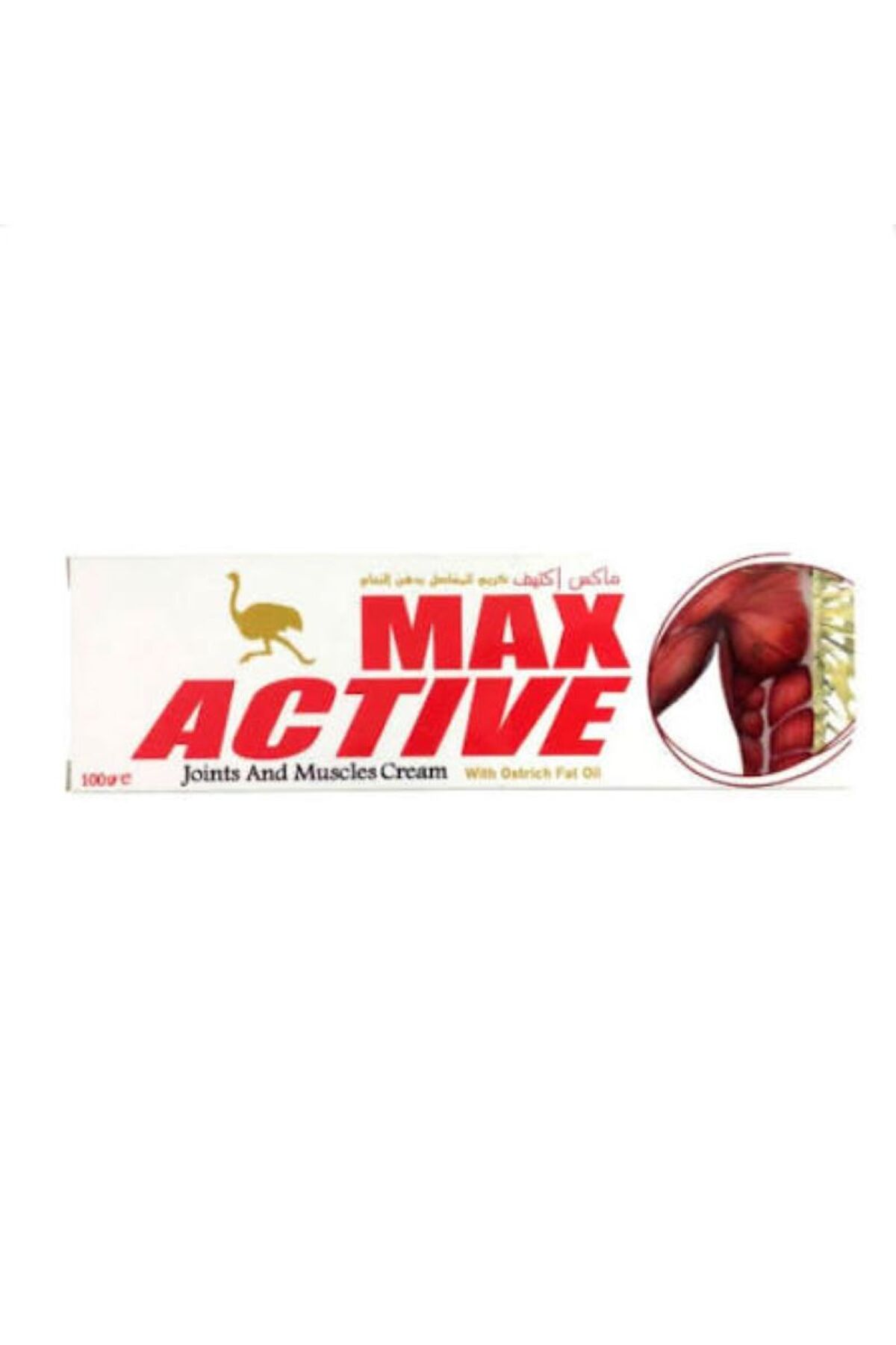 HEALTH JEWEL EST MAX ACTIVE MASSAG CREAM 100 GM JOINTS MUSCLES PAIN ...