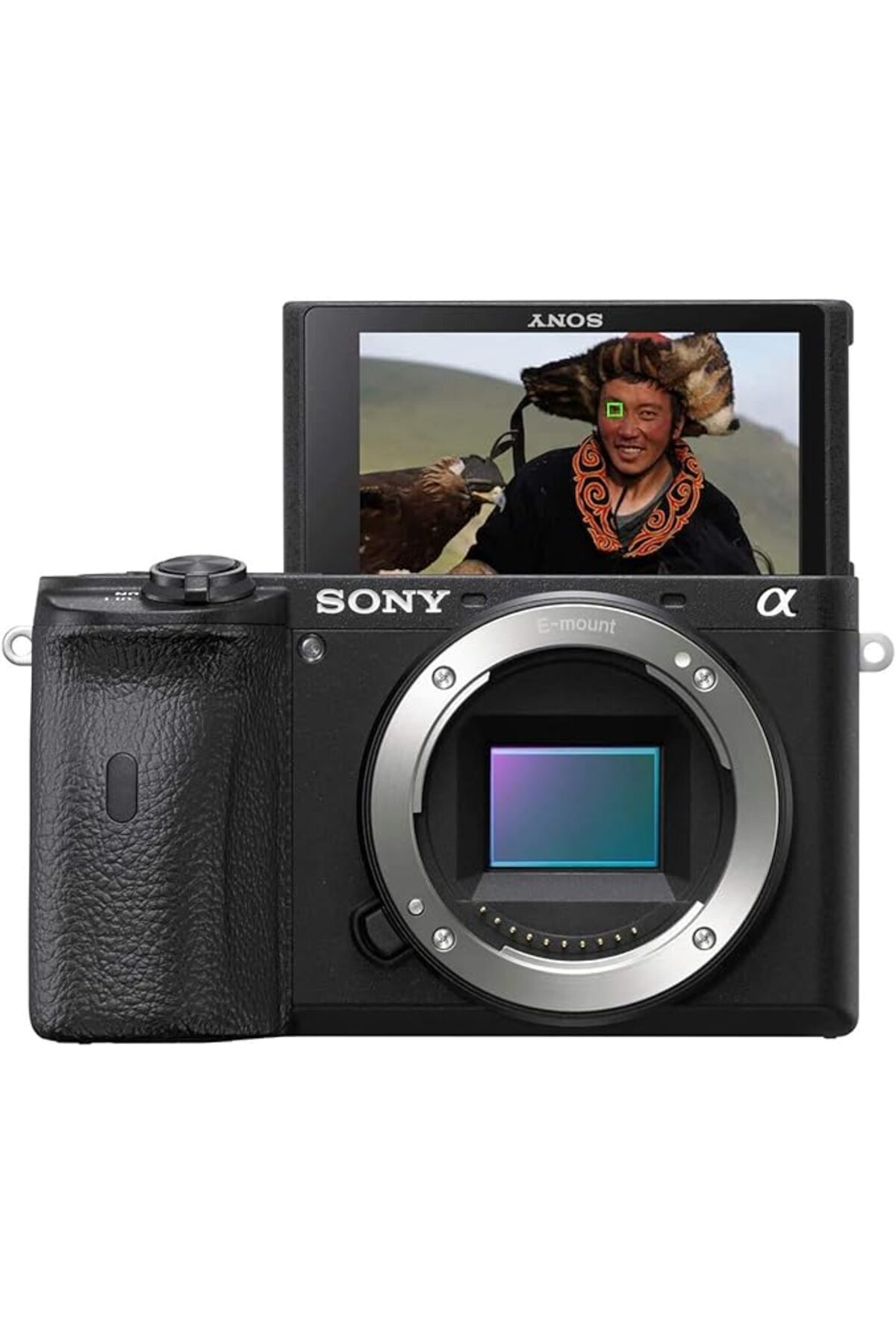 Sony Alpha 6600 Body I Alpha 6600 | APS-C Aynasız Fotoğraf Makinesi (24 ...