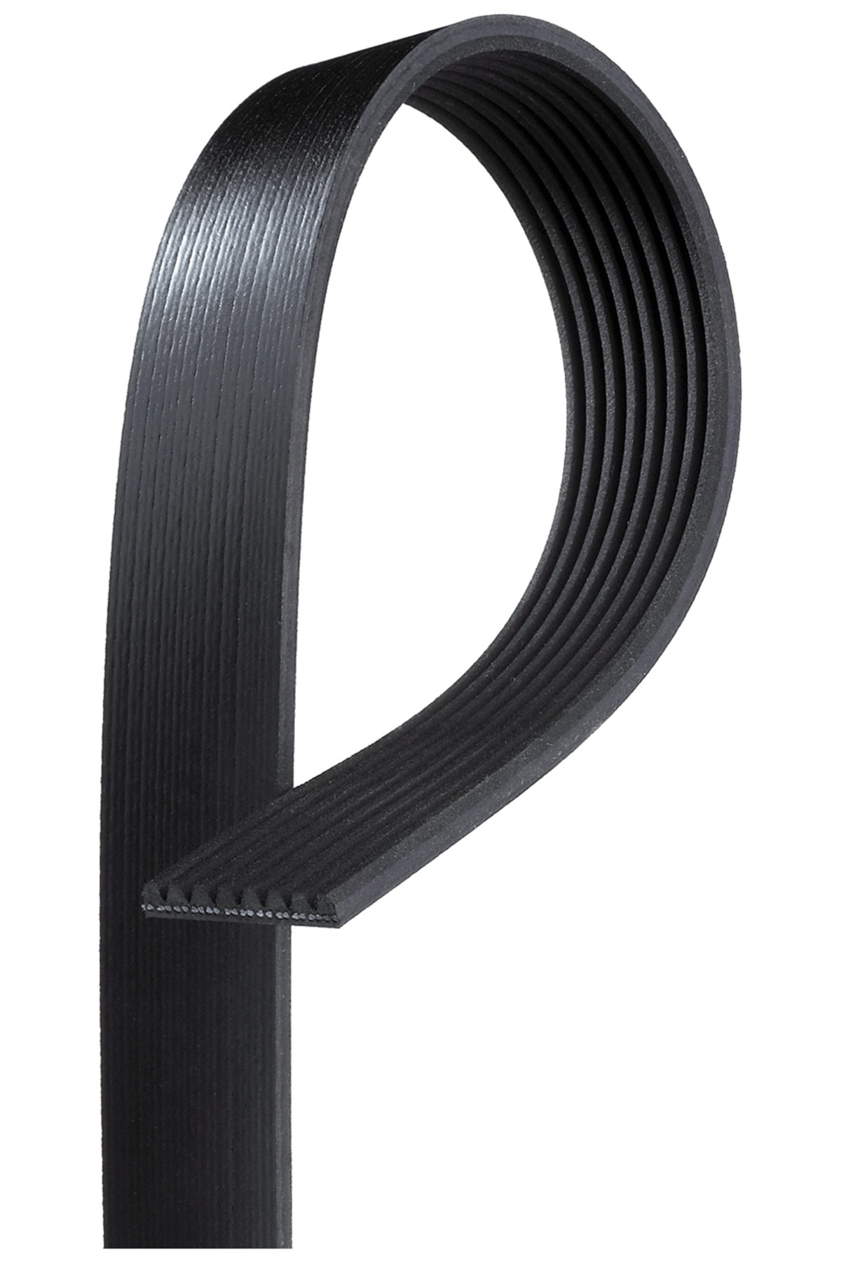 GATES V-Ribbed Belt Scania 4 - Series/Citywide/Irizar Pb- Trendyol