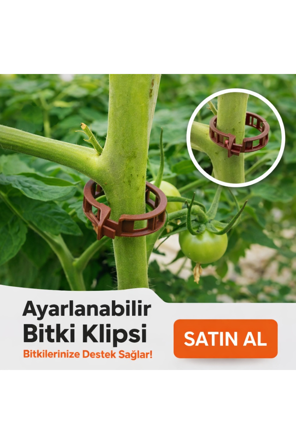 GİSSA Domates Klipsi 100Adet–Ayarlanabilir Bitki Destek Klipsi, Domates ...