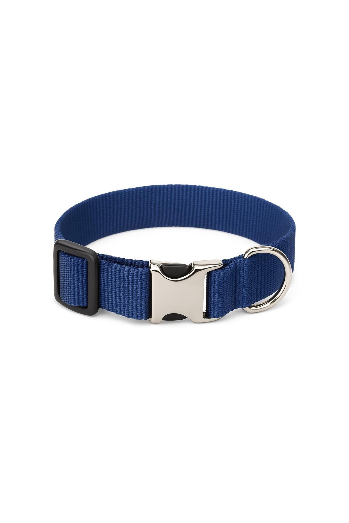 Sheyma Design Köpek Tasması ,Köpek Boyun Tasması, Ayarlanabilir, Sağlam ...