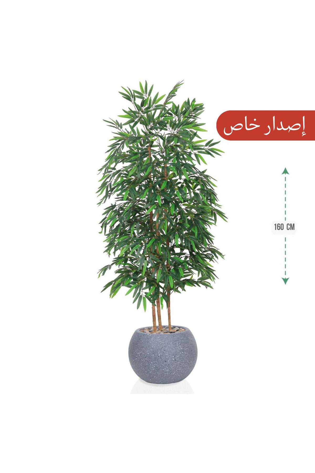 MARINO Three-branch bamboo tree, 160cm, in a round pot (special edition ...