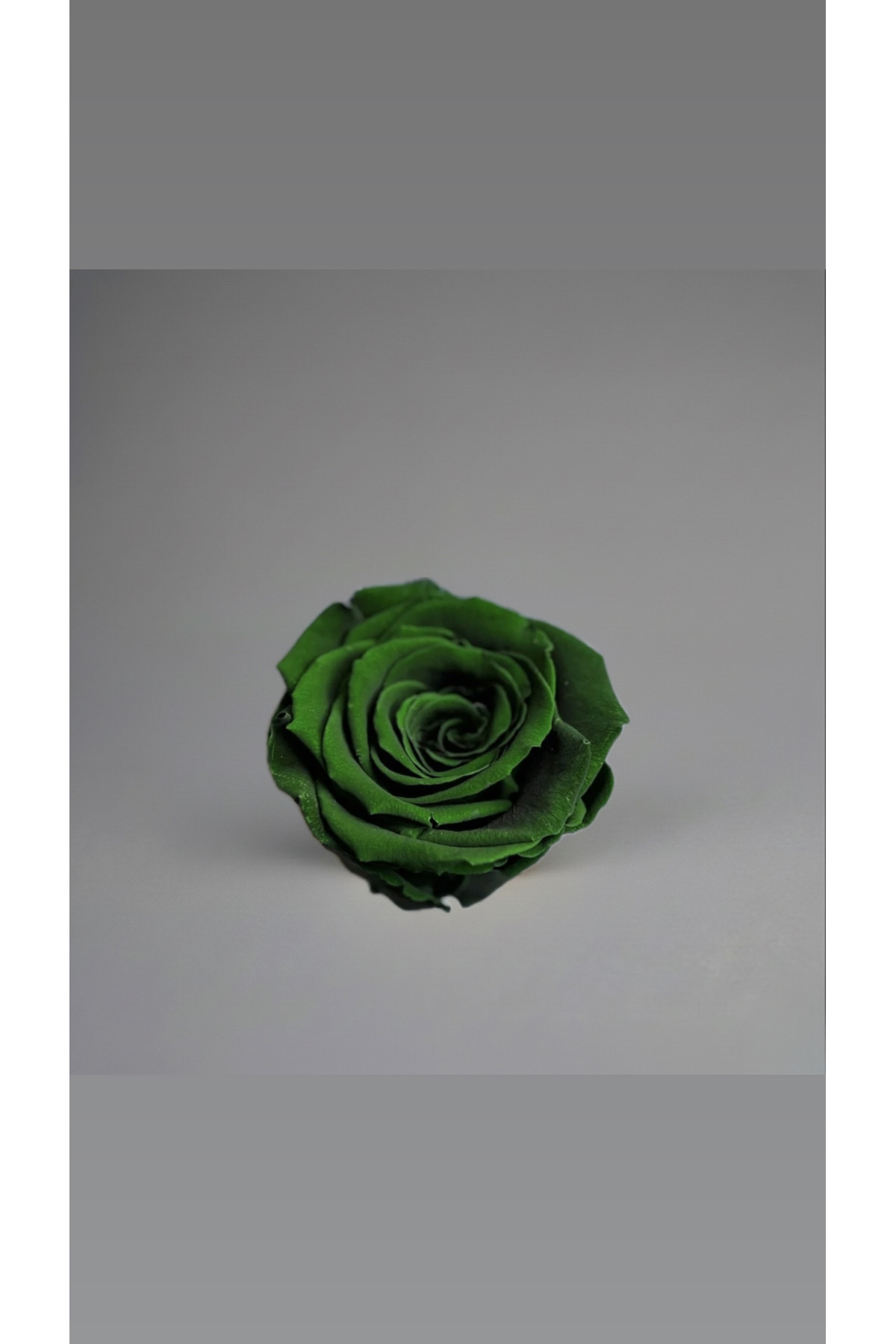 ABROZ HOME DESIGN Non-Fading Shocked Rose / Emerald Green- Trendyol
