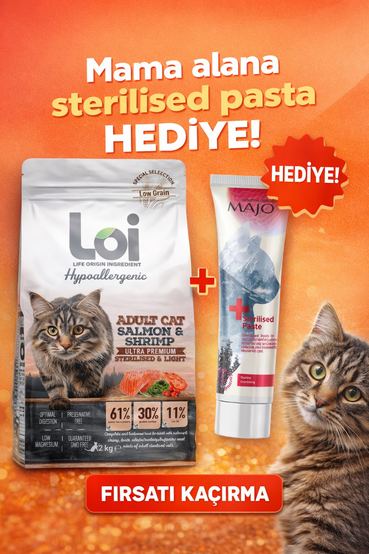 Loi Hypoallergenic Adult Kedi Maması Somon & Karides 2 kg + Sterilised ...