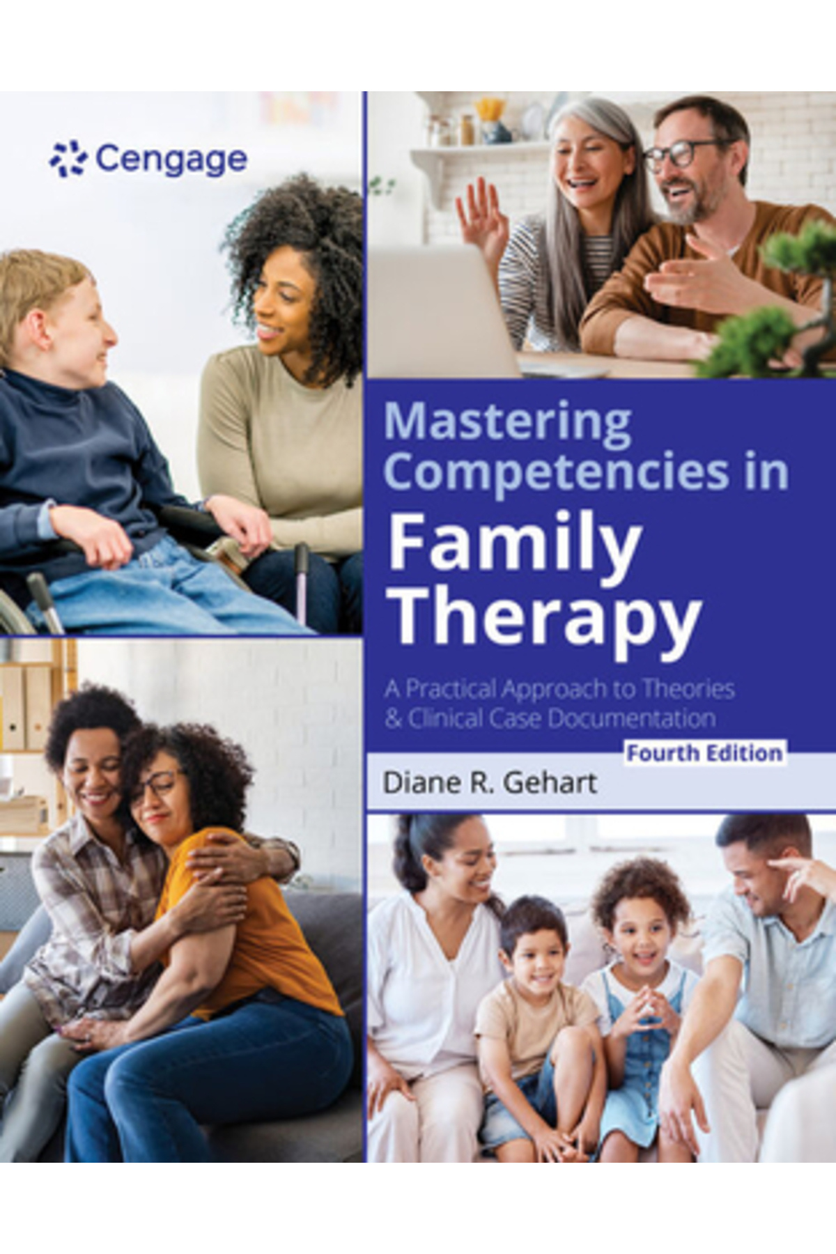 Cengage Learning Mastering Competencies in Family Therapy: A Practical ...