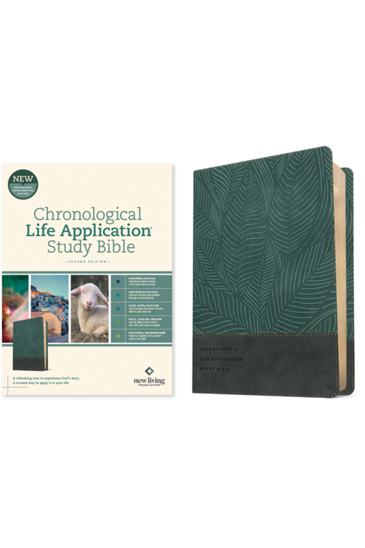 Tyndale House Publ NLT Chronological Life Application Study Bible ...