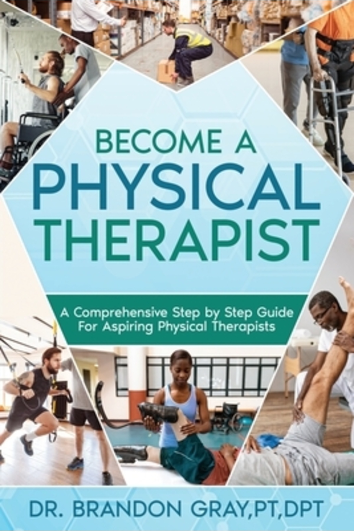 INDEPENDENT CAT Become a Physical Therapist: A Comprehensive Step-by ...