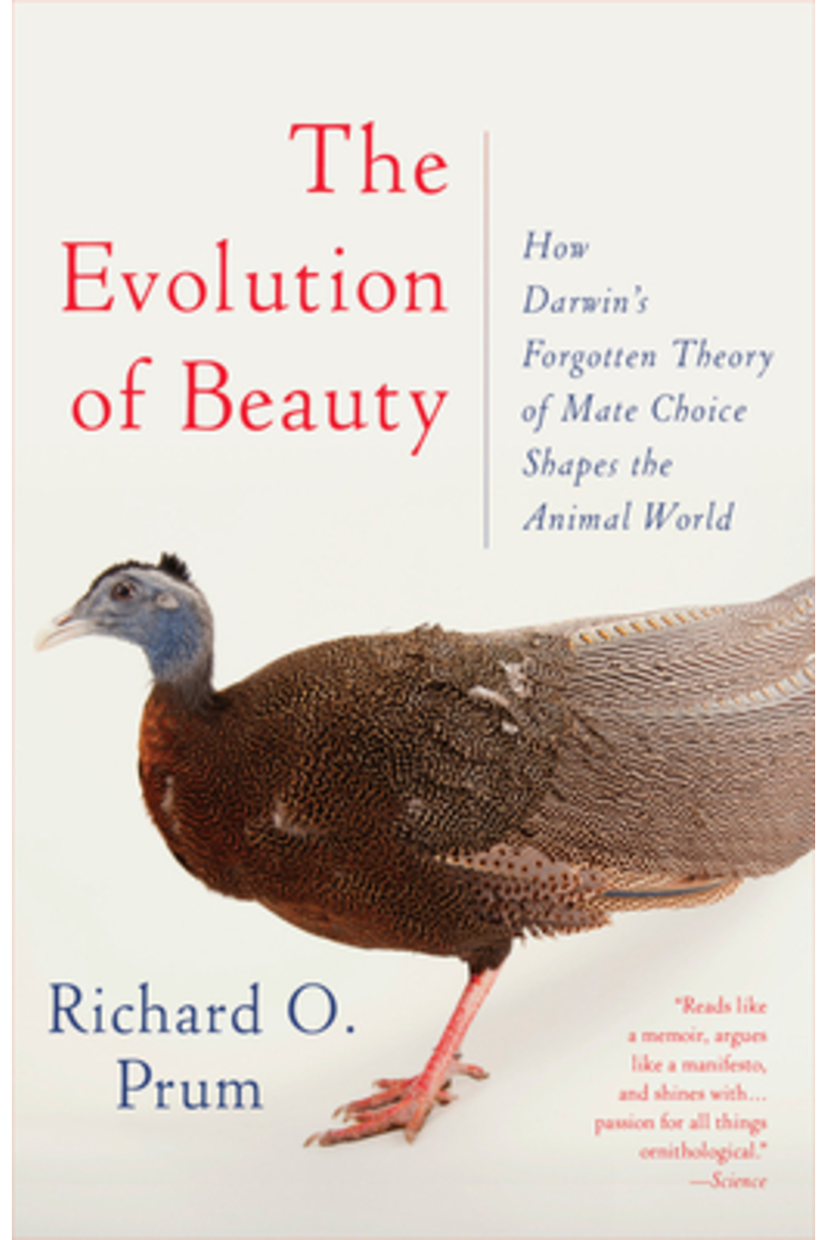 Anchor The Evolution of Beauty: How Darwin's Forgotten Theory of Mate ...