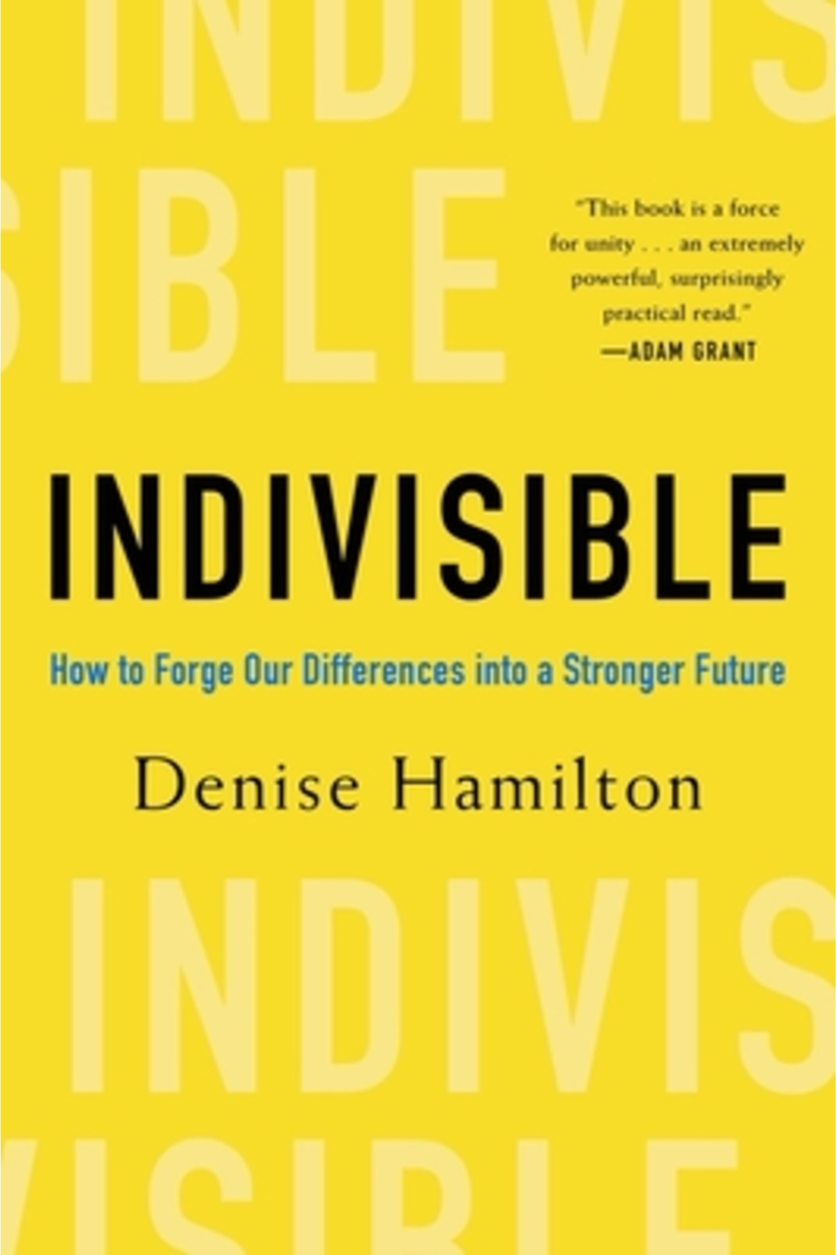 Countryman Pr Indivisible: How to Forge Our Differences Into a Stronger ...