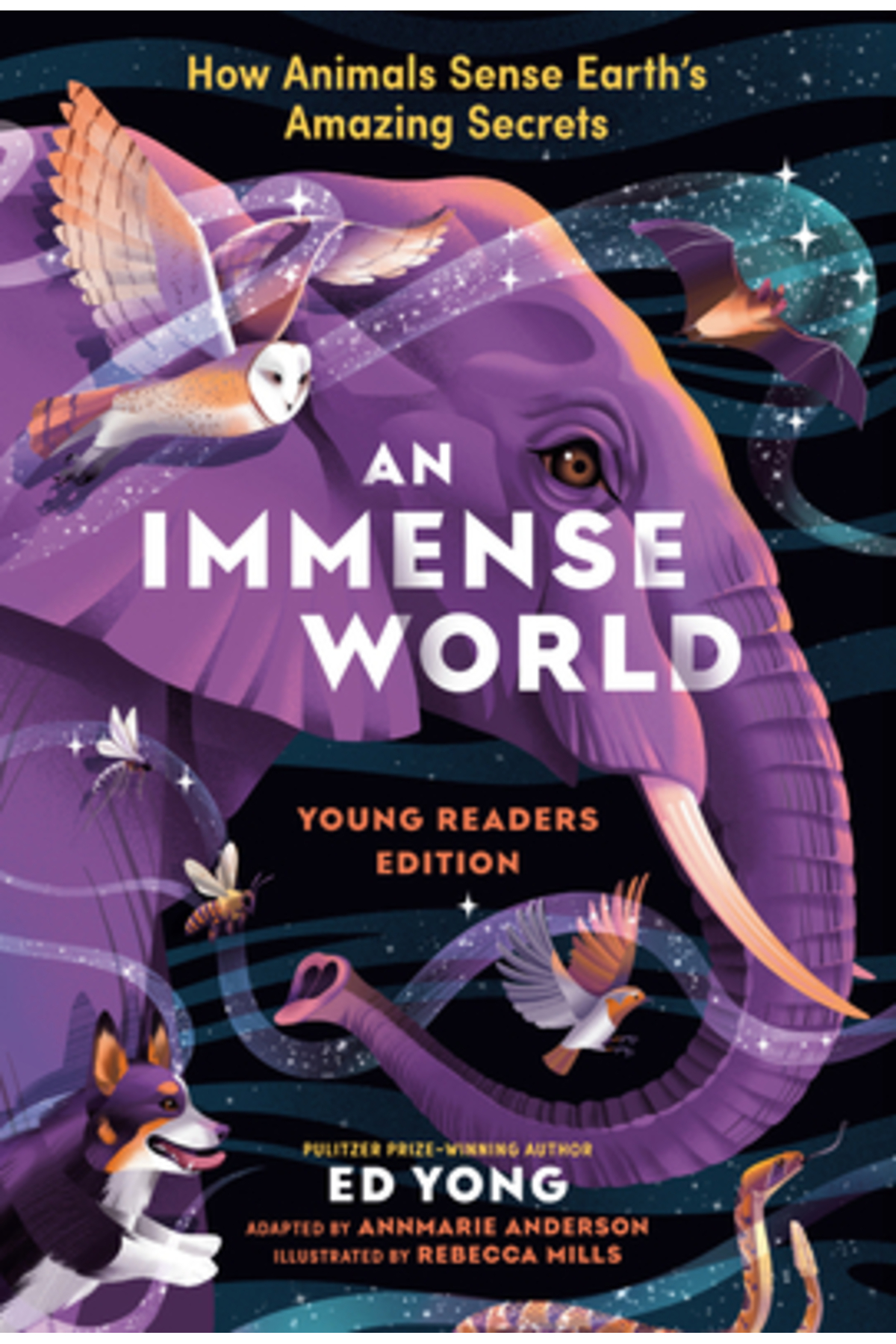 Bright Matter Books An Immense World (Young Readers Edition): How ...