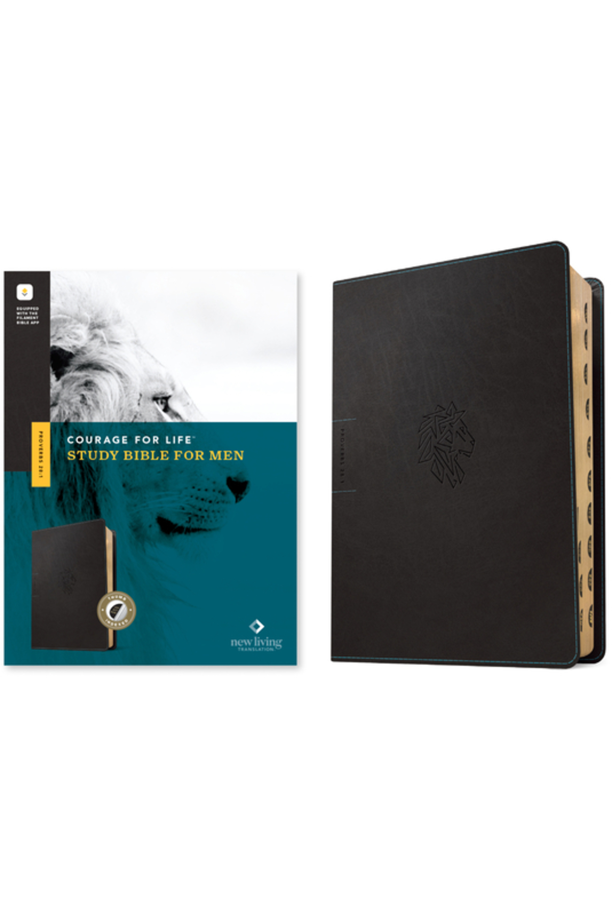 Tyndale House Publ NLT Courage for Life Study Bible for Men ...