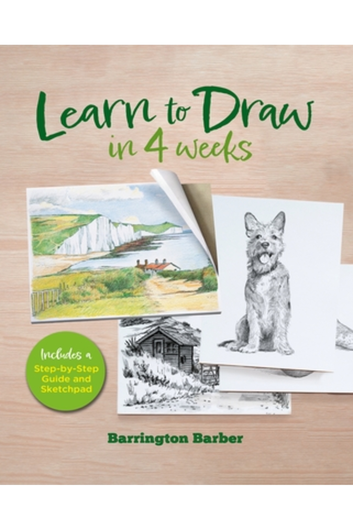 Sirius Entertainment Learn to Draw in 4 Weeks: Includes a Step-By-Step ...