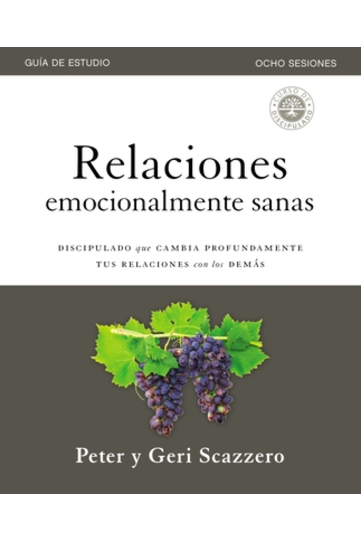 Vida Publ Relaciones Emocionalmente Sanas Cuaderno de Trabajo ...