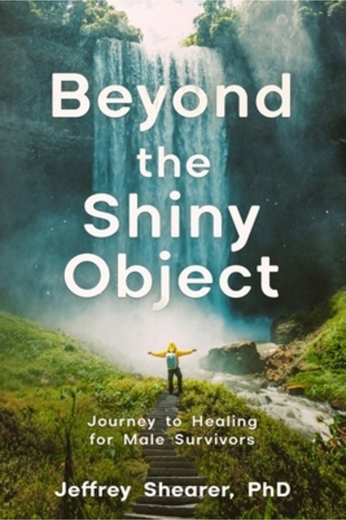 INDEPENDENT CAT Beyond the Shiny Object: Journey to Healing for Male ...